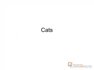 PPT - A Bed Full of Cats PowerPoint Presentation, free download - ID ...