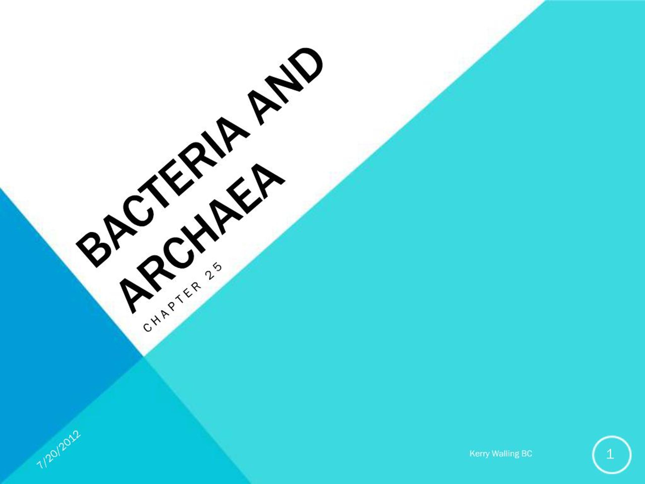 PPT - BACTERIA AND ARCHAEA PowerPoint Presentation, free download - ID ...