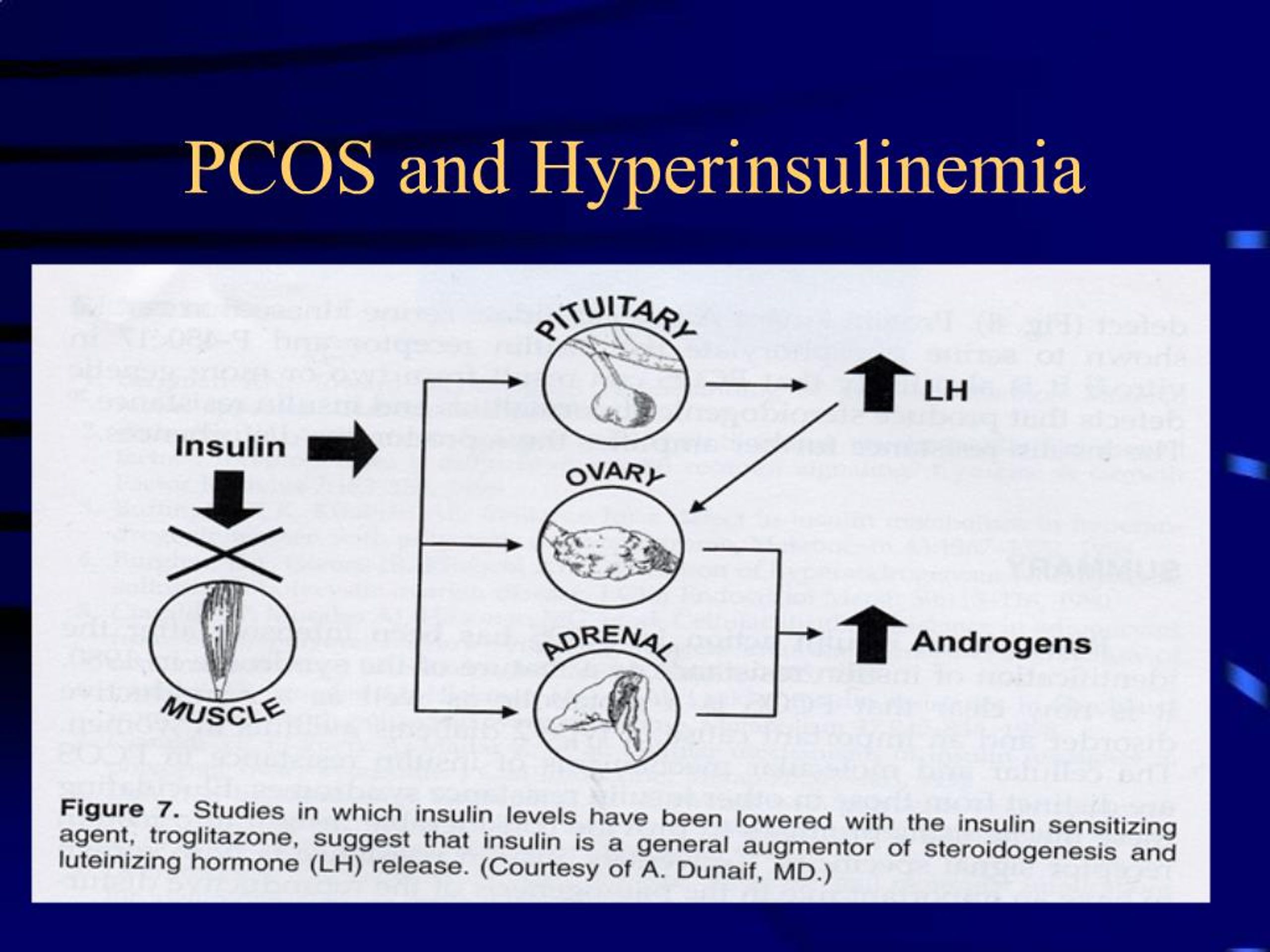 PPT - PCOS and Hyperinsulinemia PowerPoint Presentation, free download ...