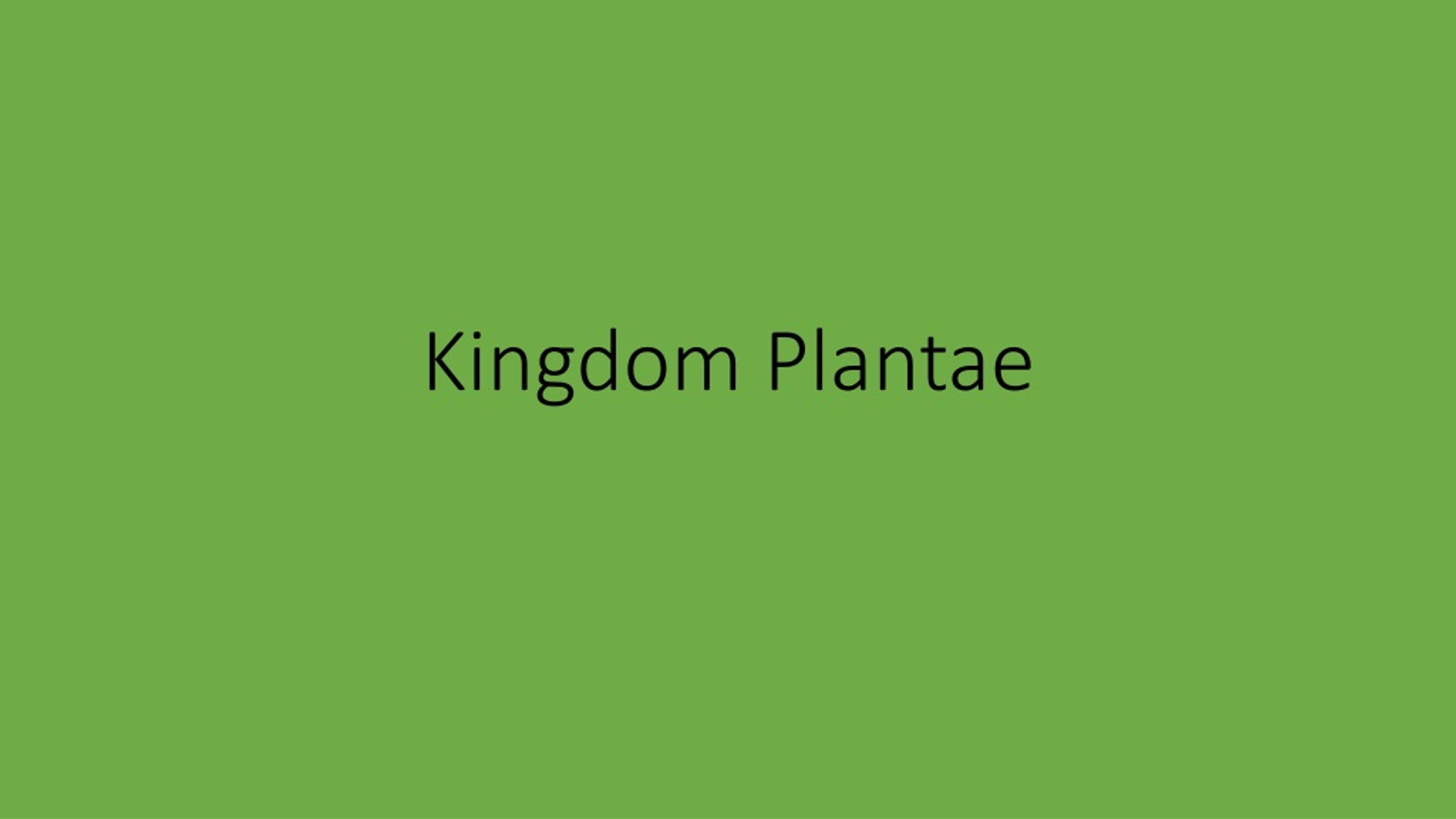PPT - Kingdom Plantae PowerPoint Presentation, free download - ID:582199