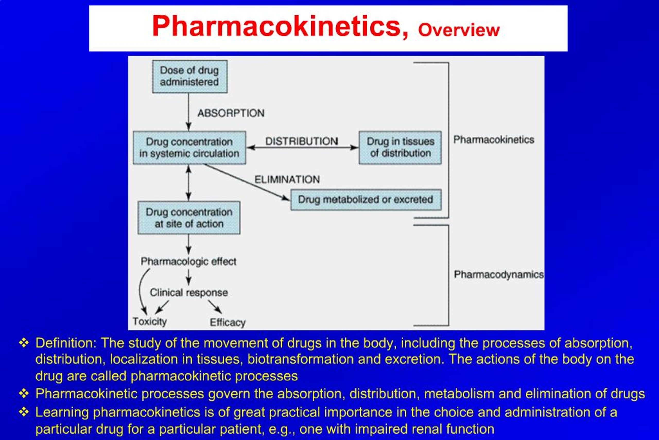 PPT - Pharmacokinetics, Overview PowerPoint Presentation, free download ...