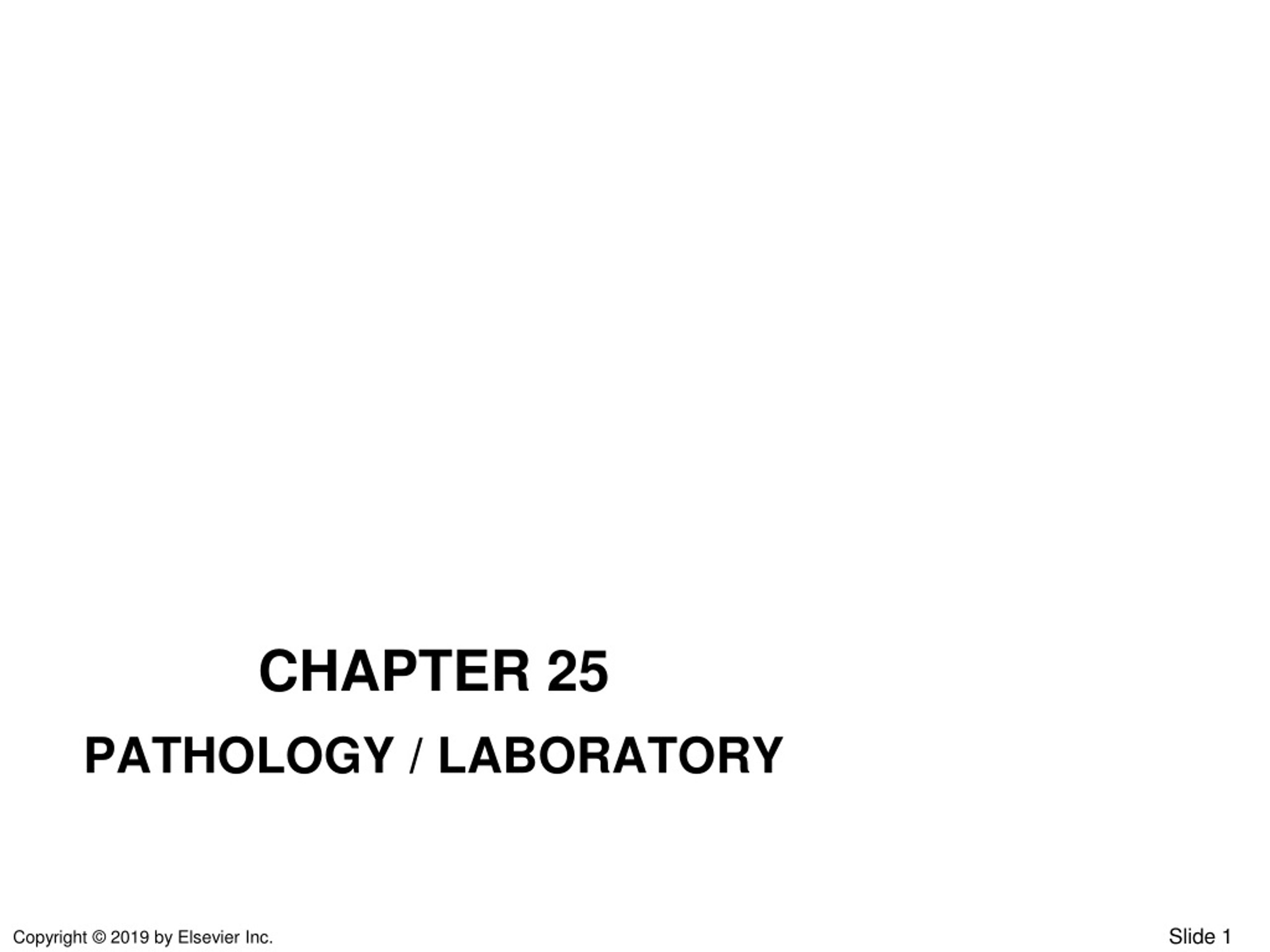 PPT - CHAPTER 25 PowerPoint Presentation, free download - ID:588511