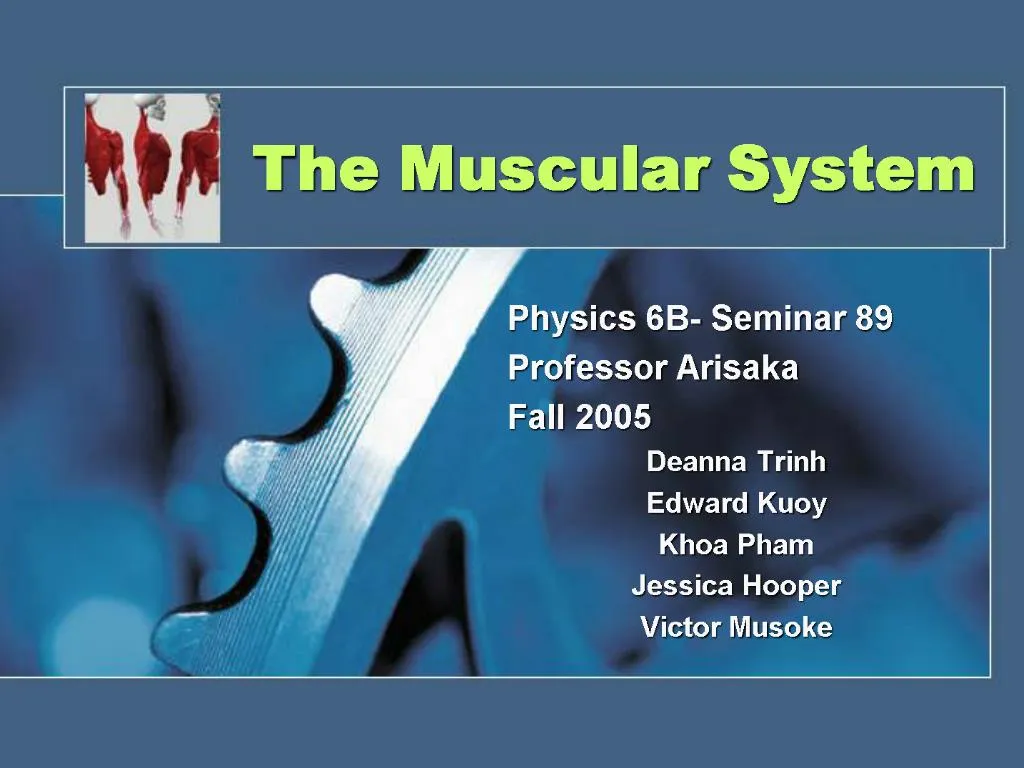 PPT - The Muscular System PowerPoint Presentation, free download - ID ...