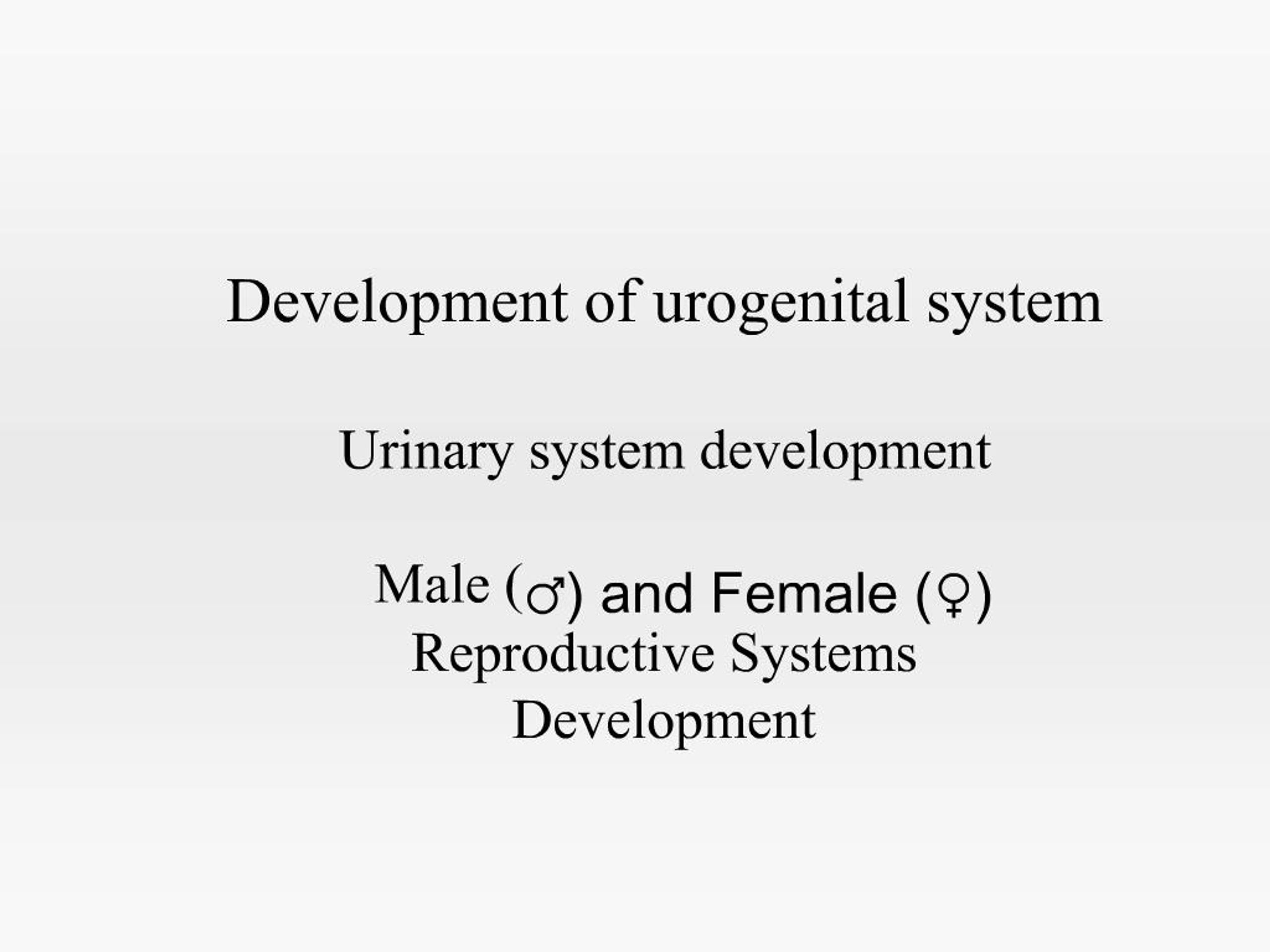 PPT - Development of urogenital system Urinary system development Male ...