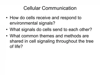 PPT - Cellular Mobile Communication Systems Lecture 6 PowerPoint ...