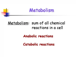 PPT - Metabolism PowerPoint Presentation, free download - ID:1952005