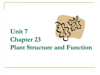 PPT - Chapter 22 Plant Structure and Function PowerPoint Presentation ...