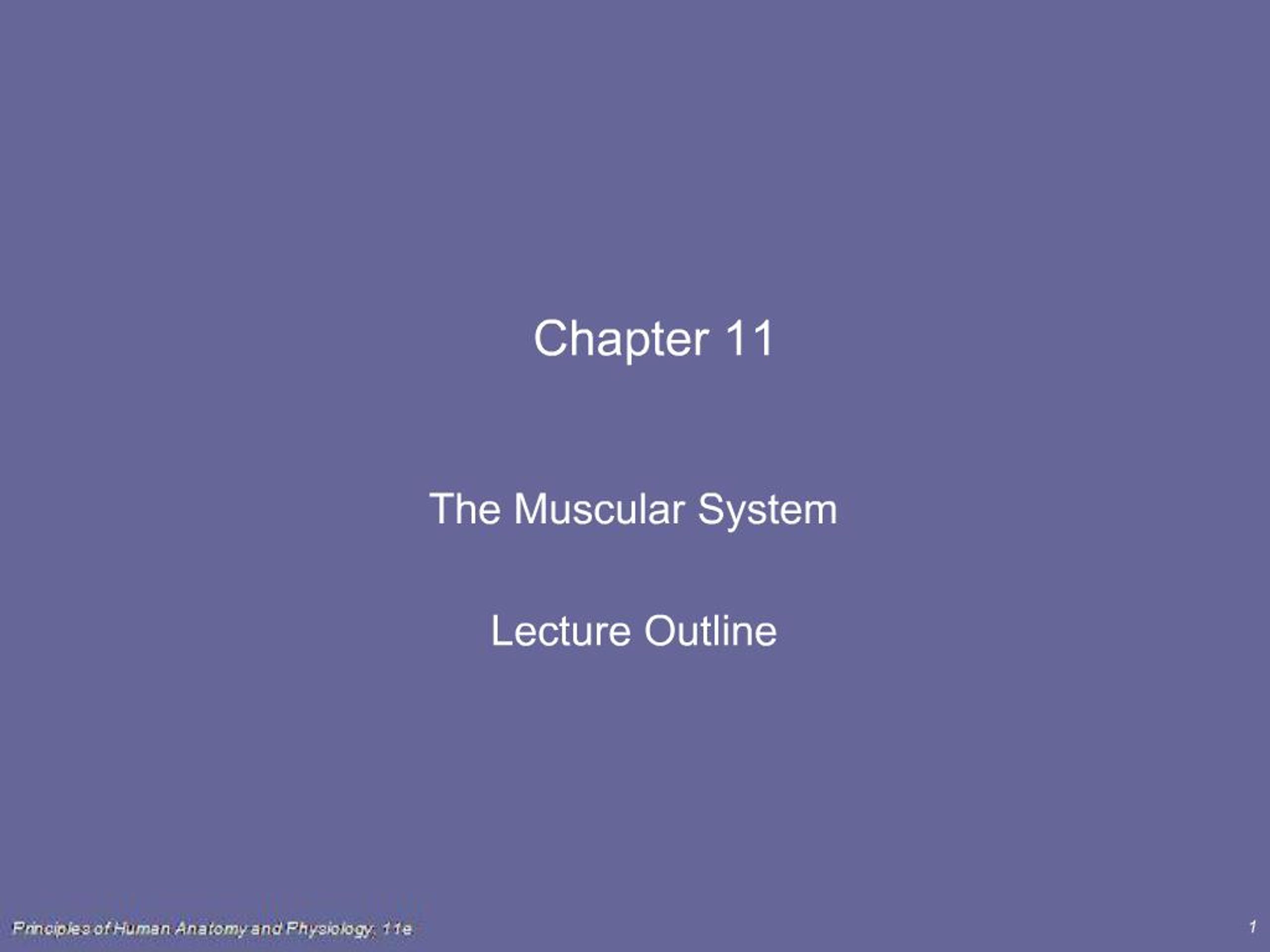 PPT - The Muscular System Lecture Outline PowerPoint Presentation, free ...