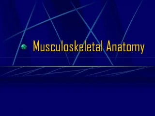 PPT - Basic Anatomy of Musculoskeletal System PowerPoint Presentation ...