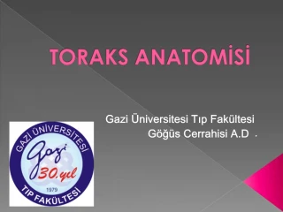 PPT - EMPIEMA TORAKS PowerPoint Presentation, free download - ID:2134625