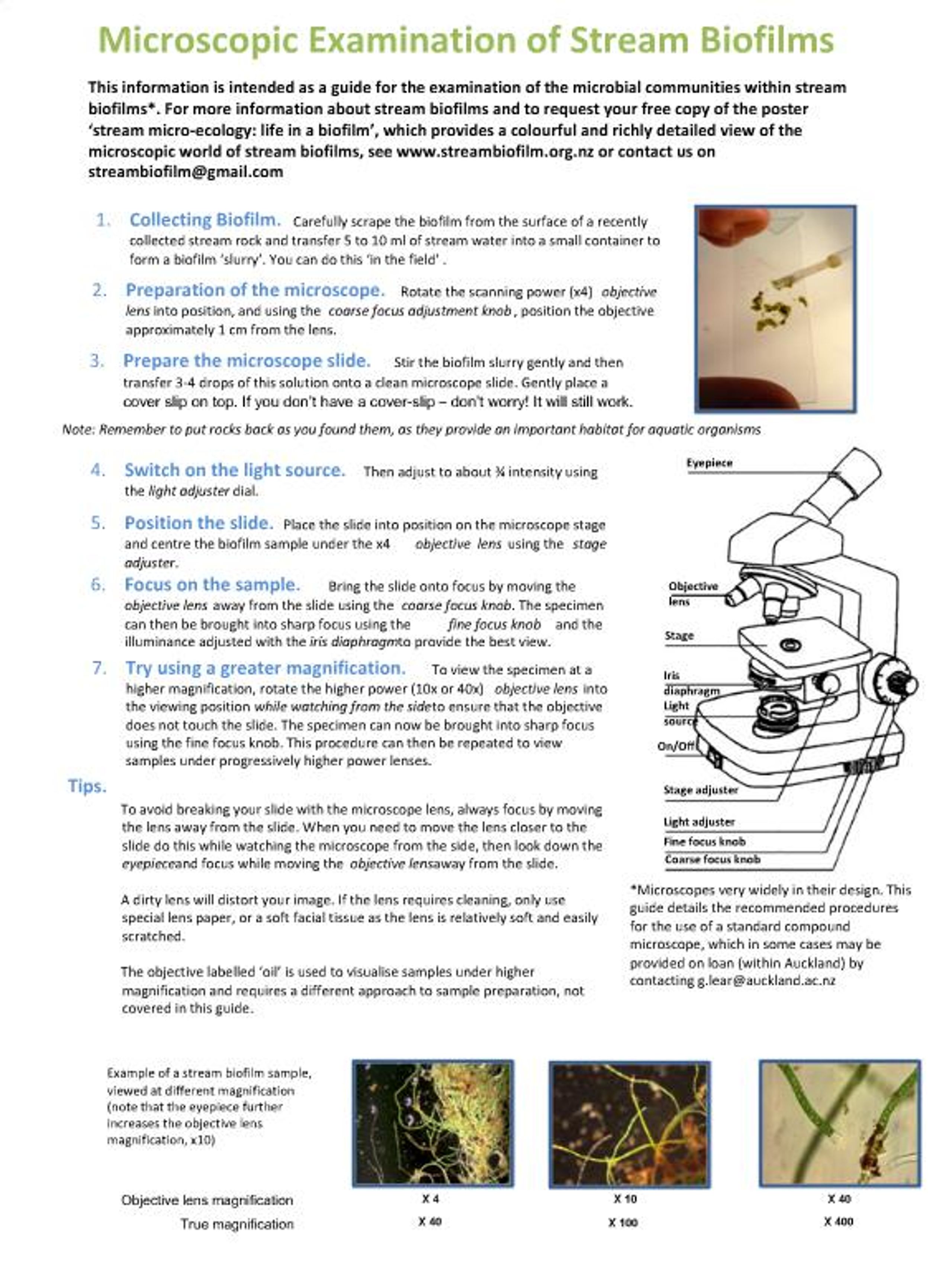 PPT - Microscopic Examination of Stream Biofilms PowerPoint ...