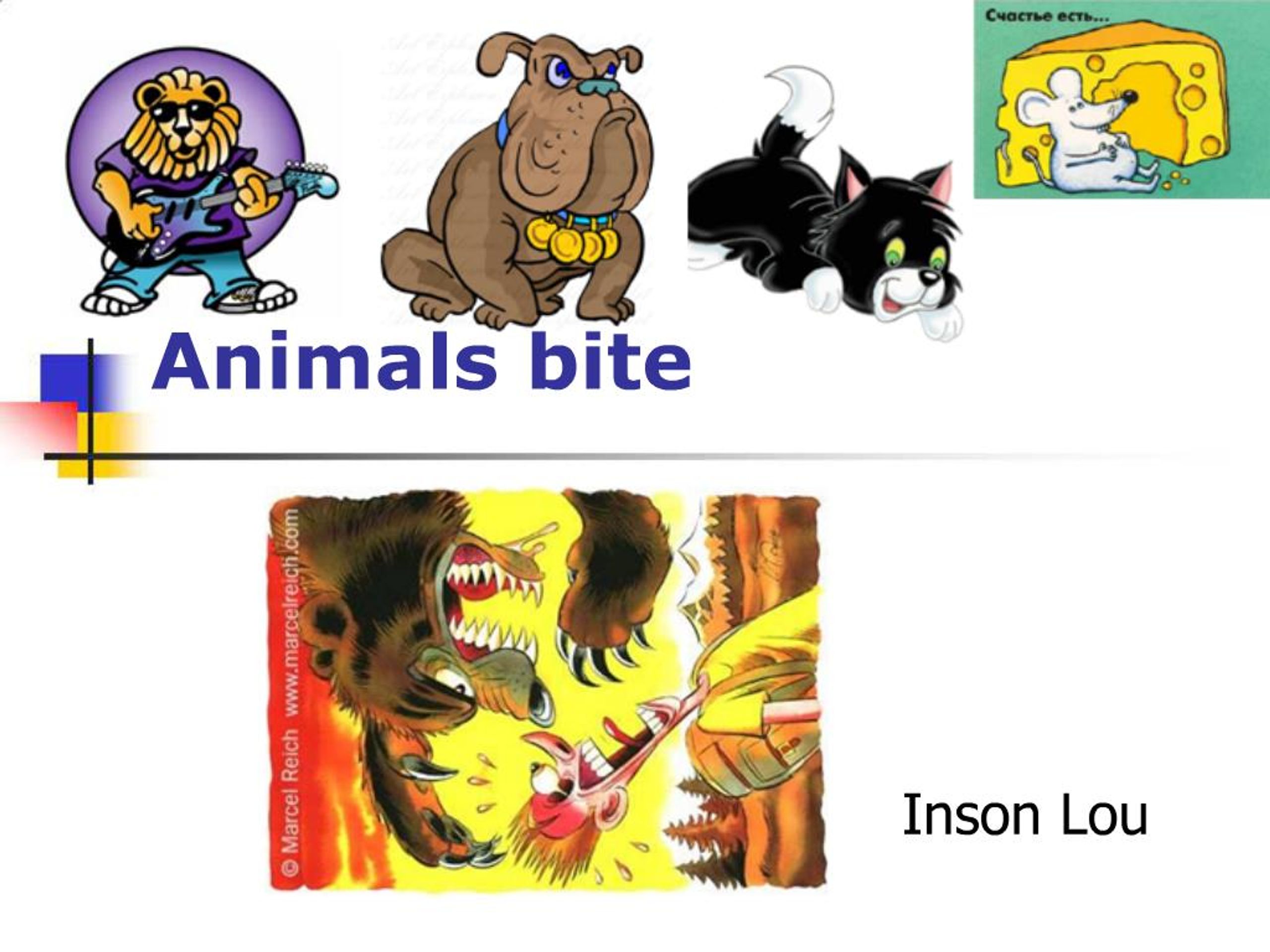 PPT - Animals bite PowerPoint Presentation, free download - ID:608672