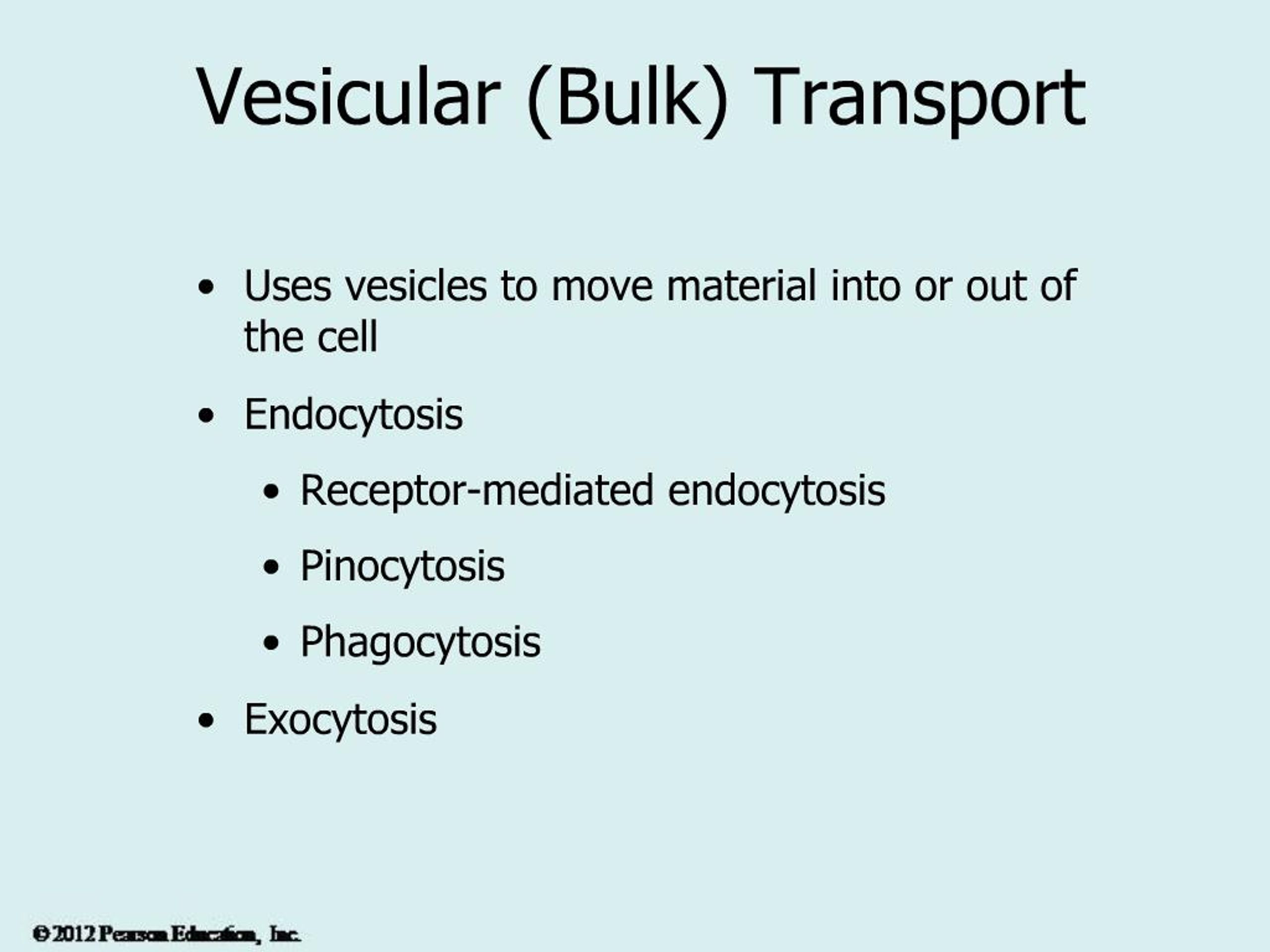 PPT - Vesicular Bulk Transport PowerPoint Presentation, free download ...