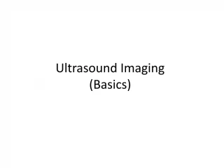 PPT - Basic Principles of Ultrasound Imaging PowerPoint Presentation ...
