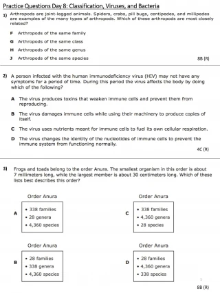 PPT - CLASSIFICATION OF VIRUSES PowerPoint Presentation, free download ...