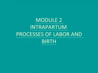 PPT - Intrapartum PowerPoint Presentation, free download - ID:3575703