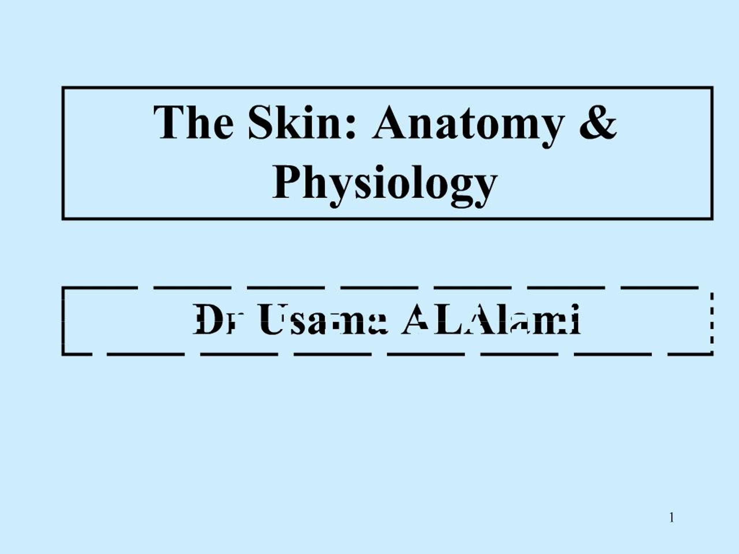 PPT - The Skin: Anatomy Physiology PowerPoint Presentation, free ...