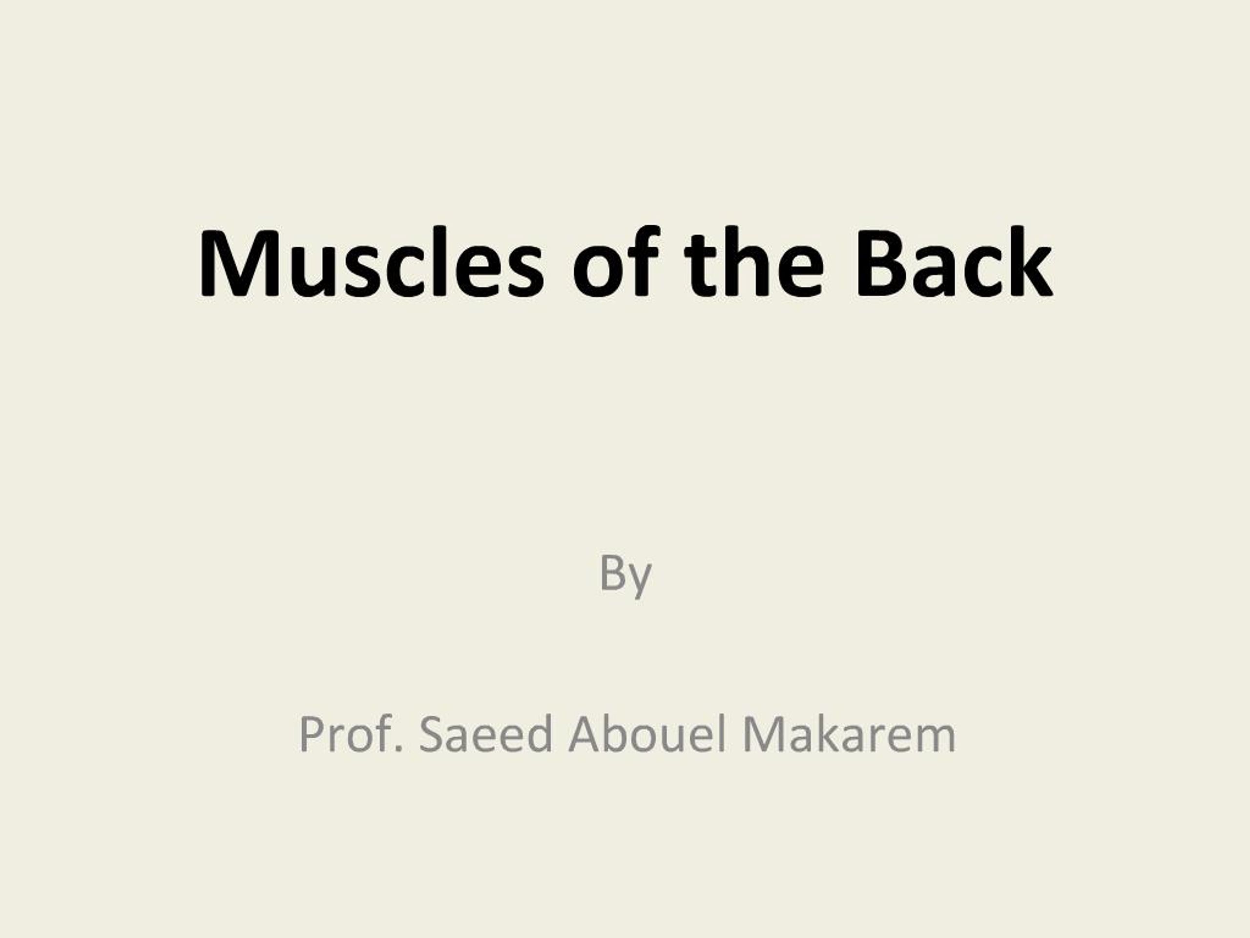 PPT - Muscles of the Back PowerPoint Presentation, free download - ID ...