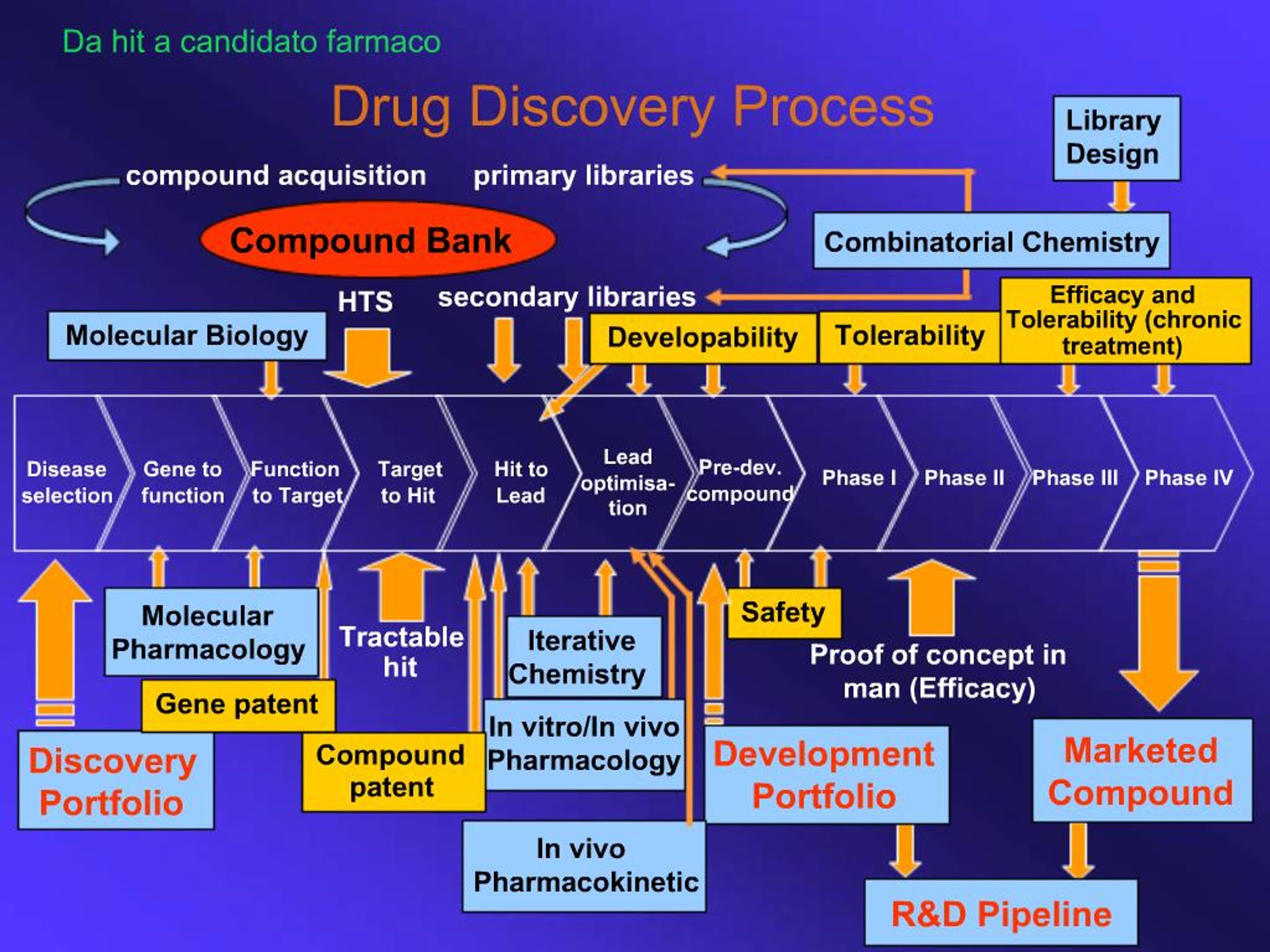 PPT - Drug Discovery Process PowerPoint Presentation, free download ...