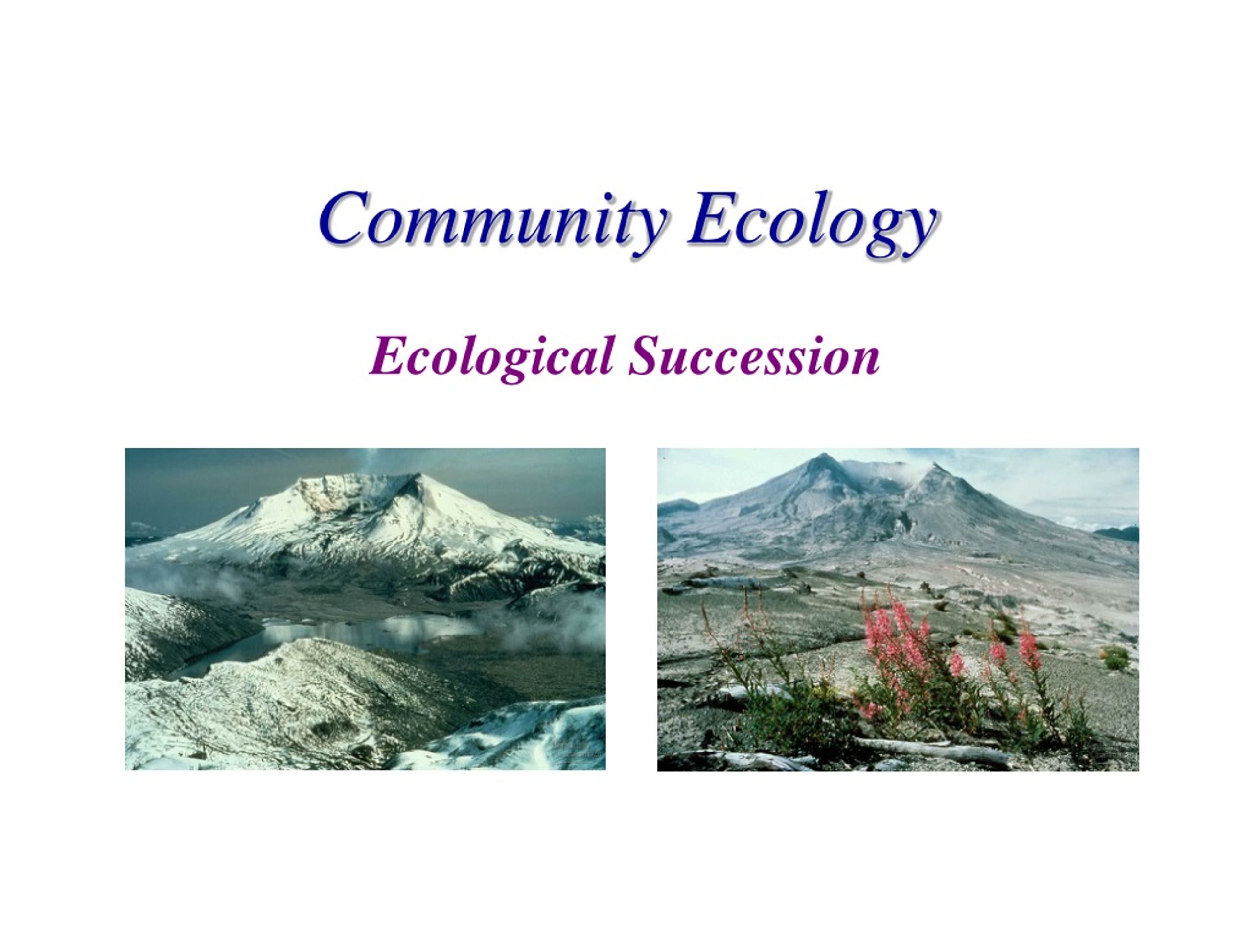 PPT - Community Ecology PowerPoint Presentation, free download - ID:648588