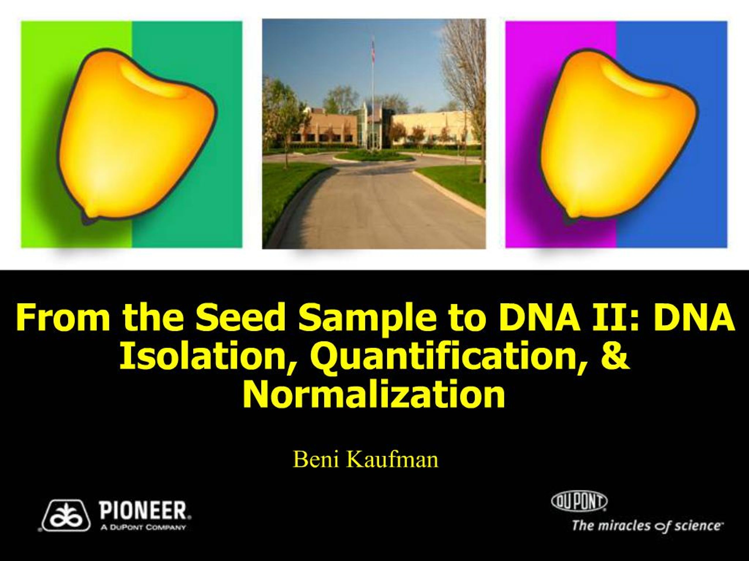 PPT - From the Seed Sample to DNA II: DNA Isolation, Quantification ...