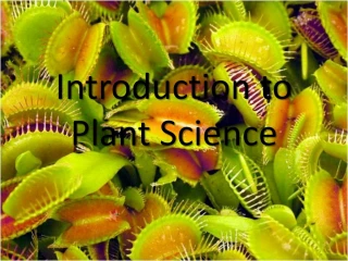 PPT - Introduction to Plant Development PowerPoint Presentation, free ...