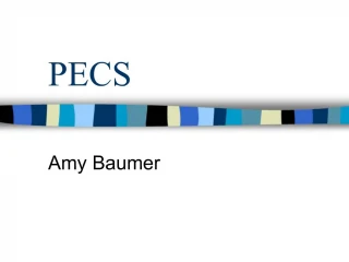 PPT - PECS Services pptx PowerPoint Presentation, free download - ID ...