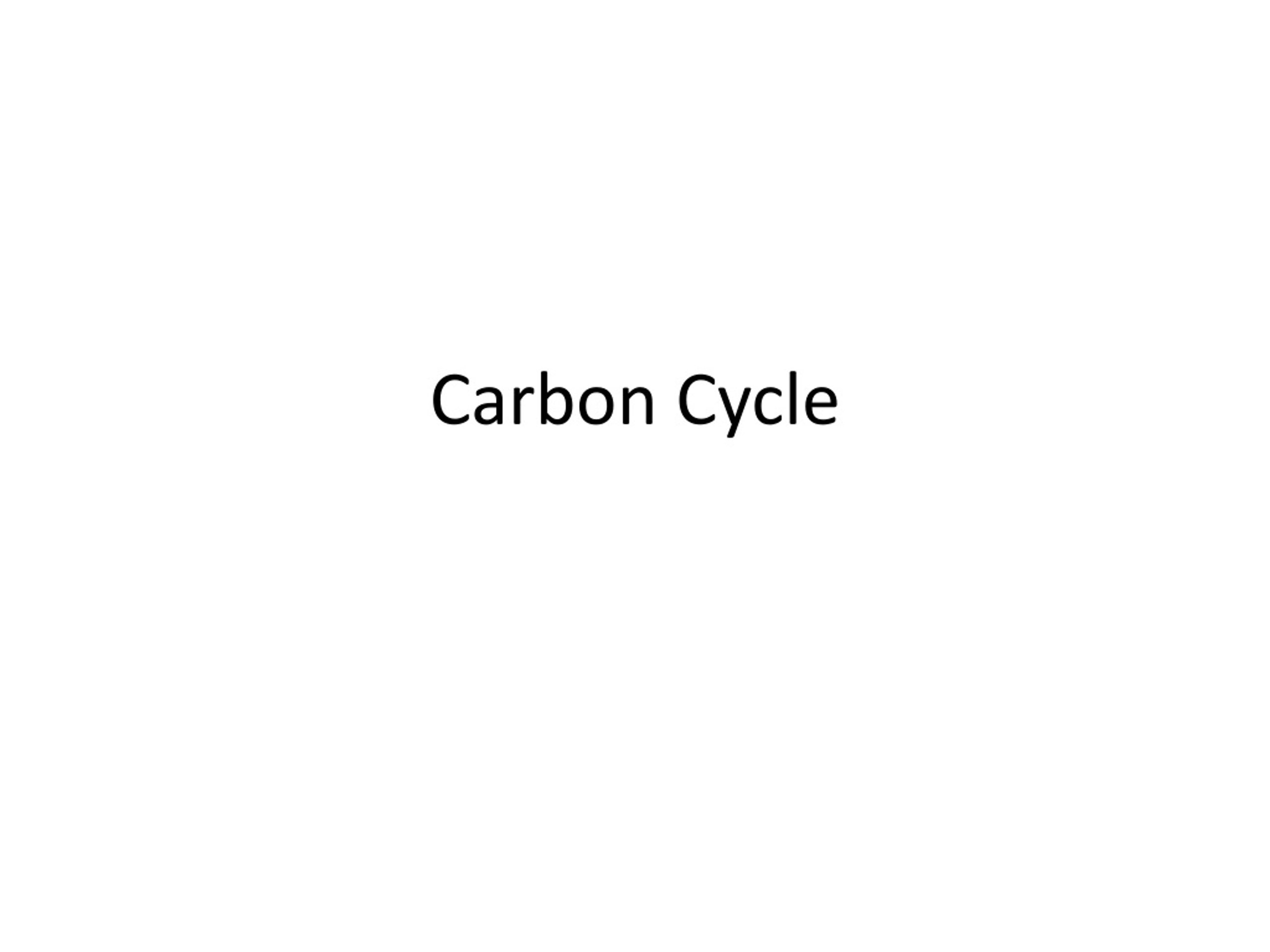 PPT - Carbon Cycle PowerPoint Presentation, free download - ID:655809