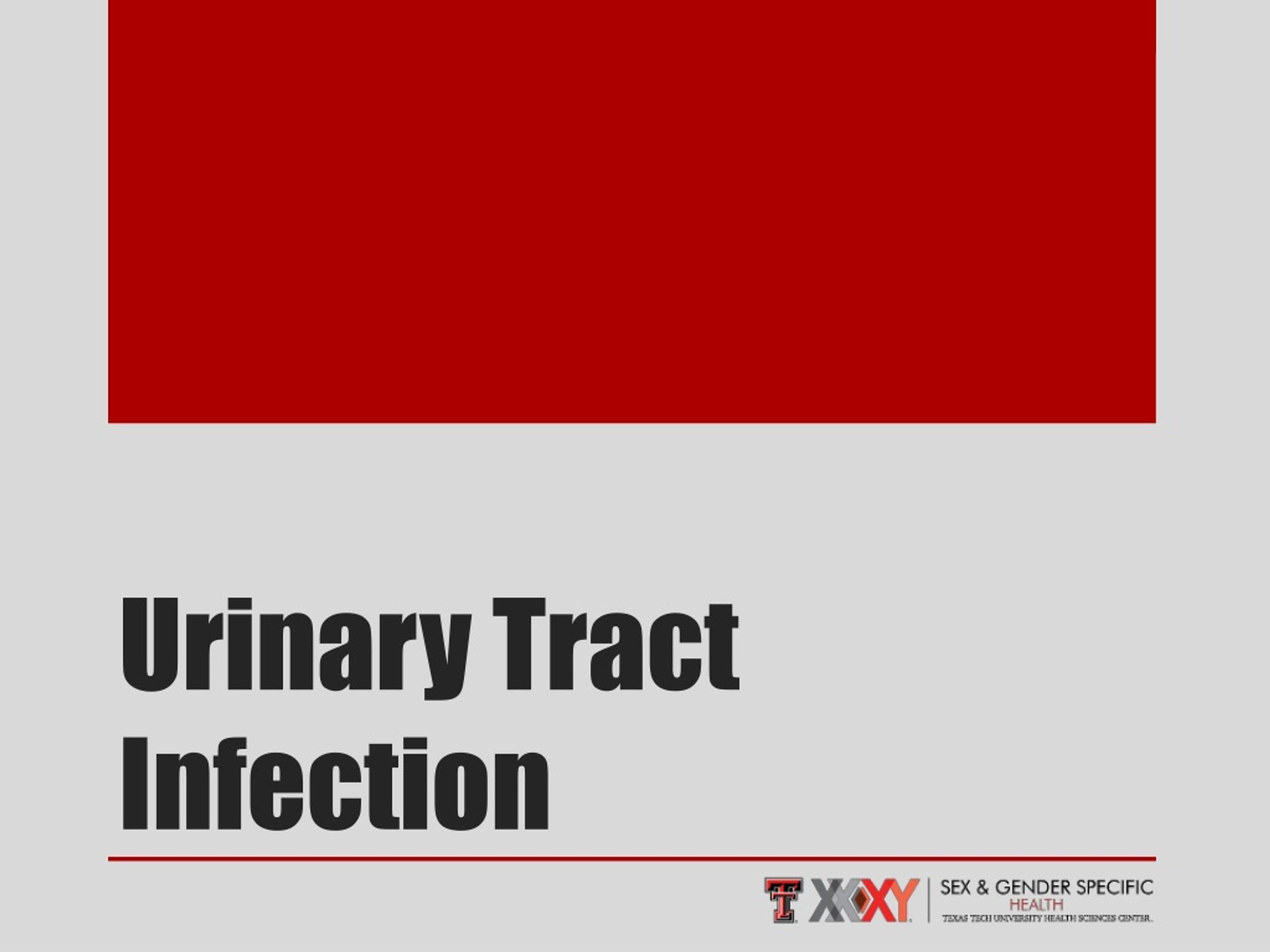 PPT - Urinary Tract Infection PowerPoint Presentation, free download ...