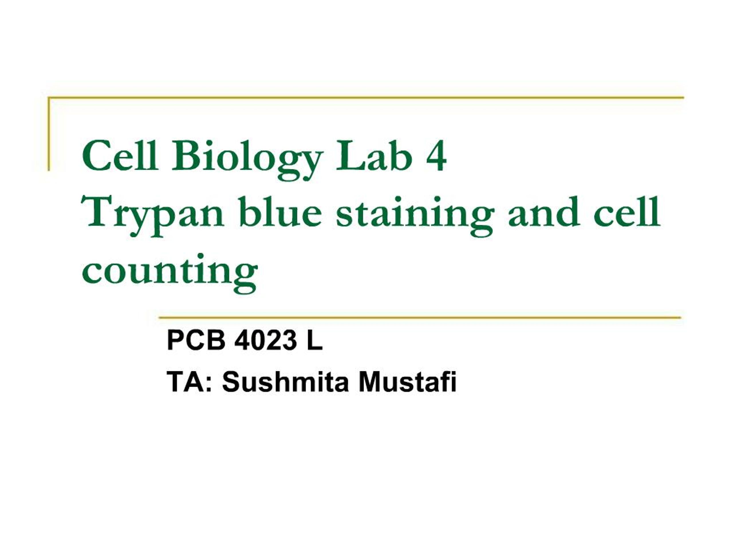 PPT - Cell Biology Lab 4 Trypan blue staining and cell counting ...