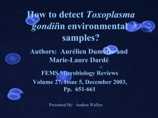 PPT - Toxoplasmosis Toxoplasma gondii PowerPoint Presentation, free ...