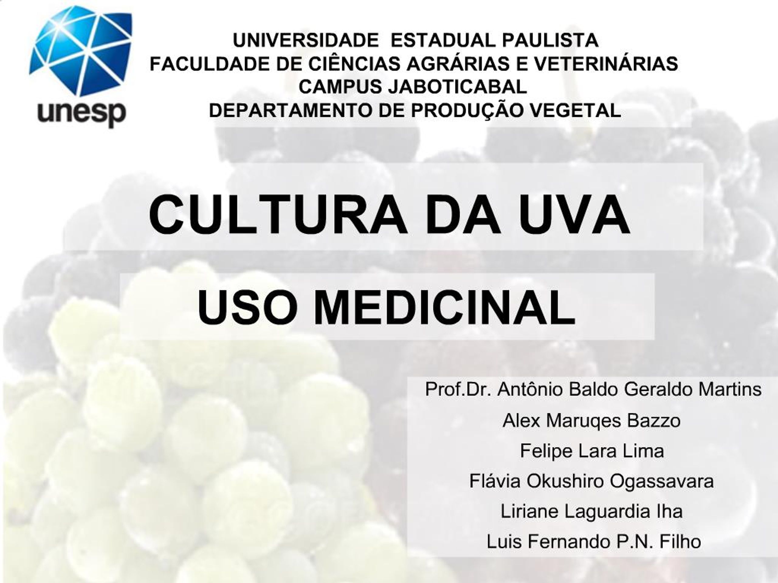 PPT - CULTURA DA UVA PowerPoint Presentation, free download - ID:670595