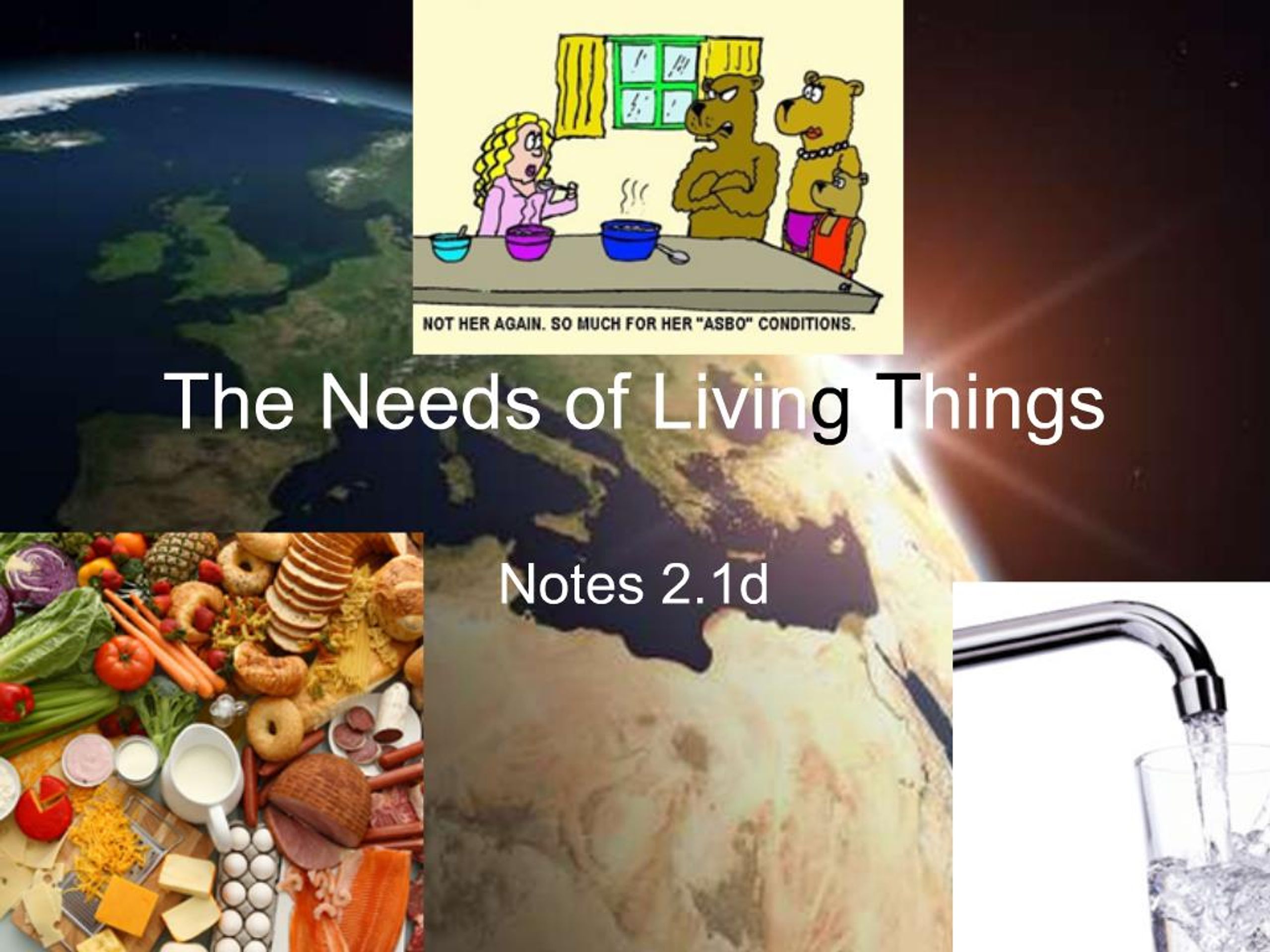 PPT - The Needs of Living Things PowerPoint Presentation, free download ...