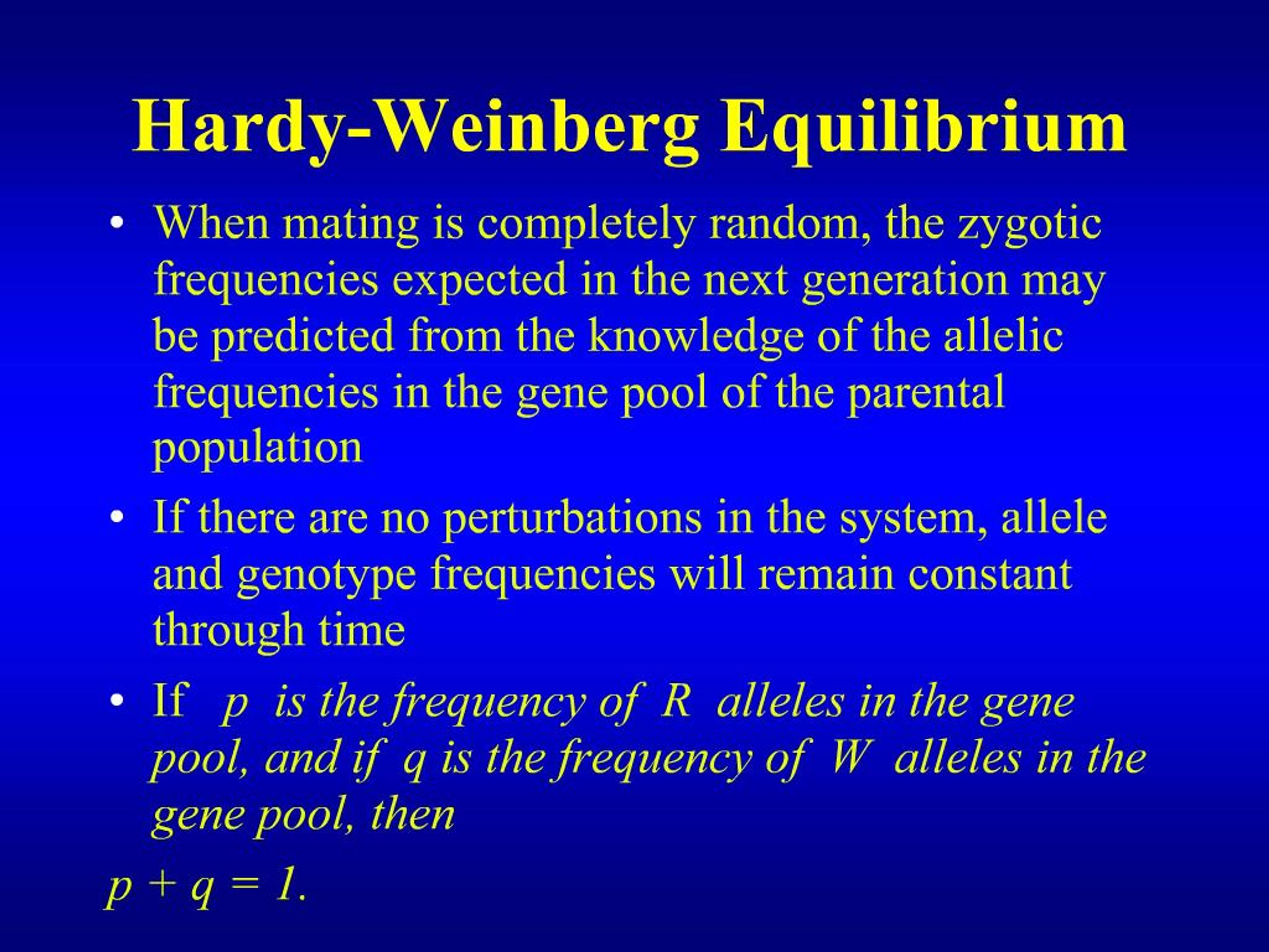 PPT - Hardy-Weinberg Equilibrium PowerPoint Presentation, free download ...