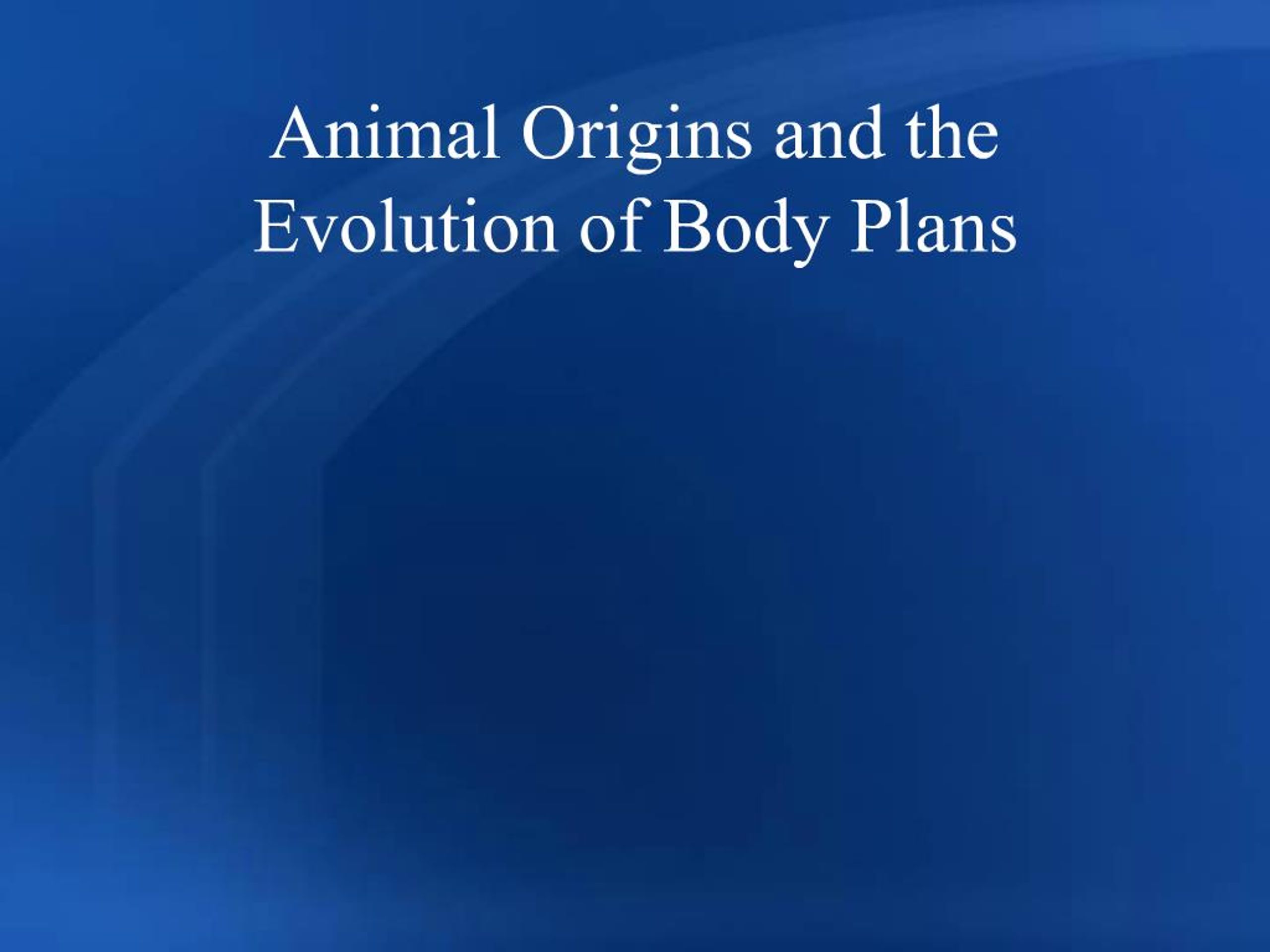 PPT - Animal Origins and the Evolution of Body Plans PowerPoint ...