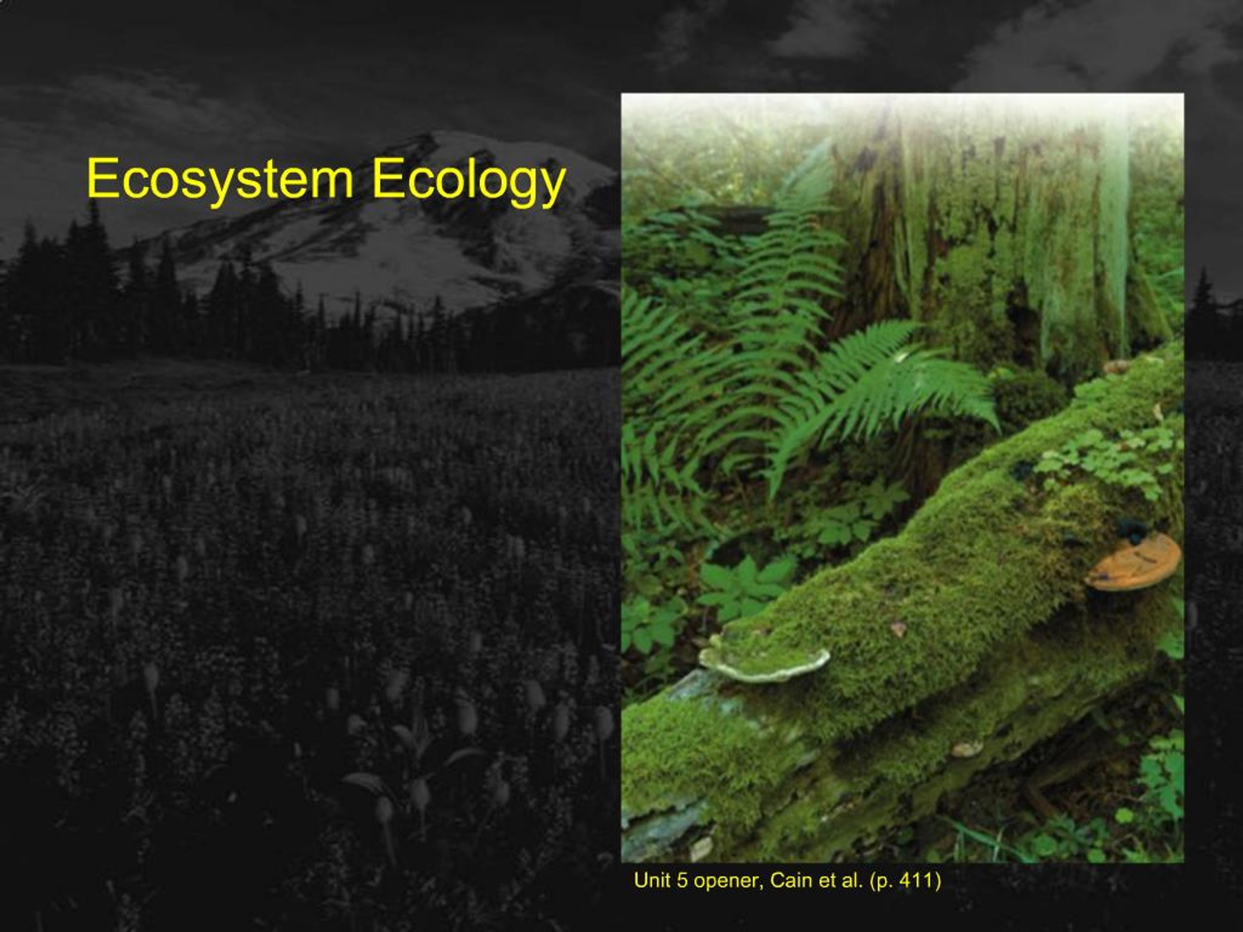 PPT - Ecosystem Ecology PowerPoint Presentation, free download - ID:688965