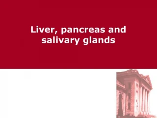 PPT - SALIVARY GLANDS AND PANCREAS PowerPoint Presentation, free ...
