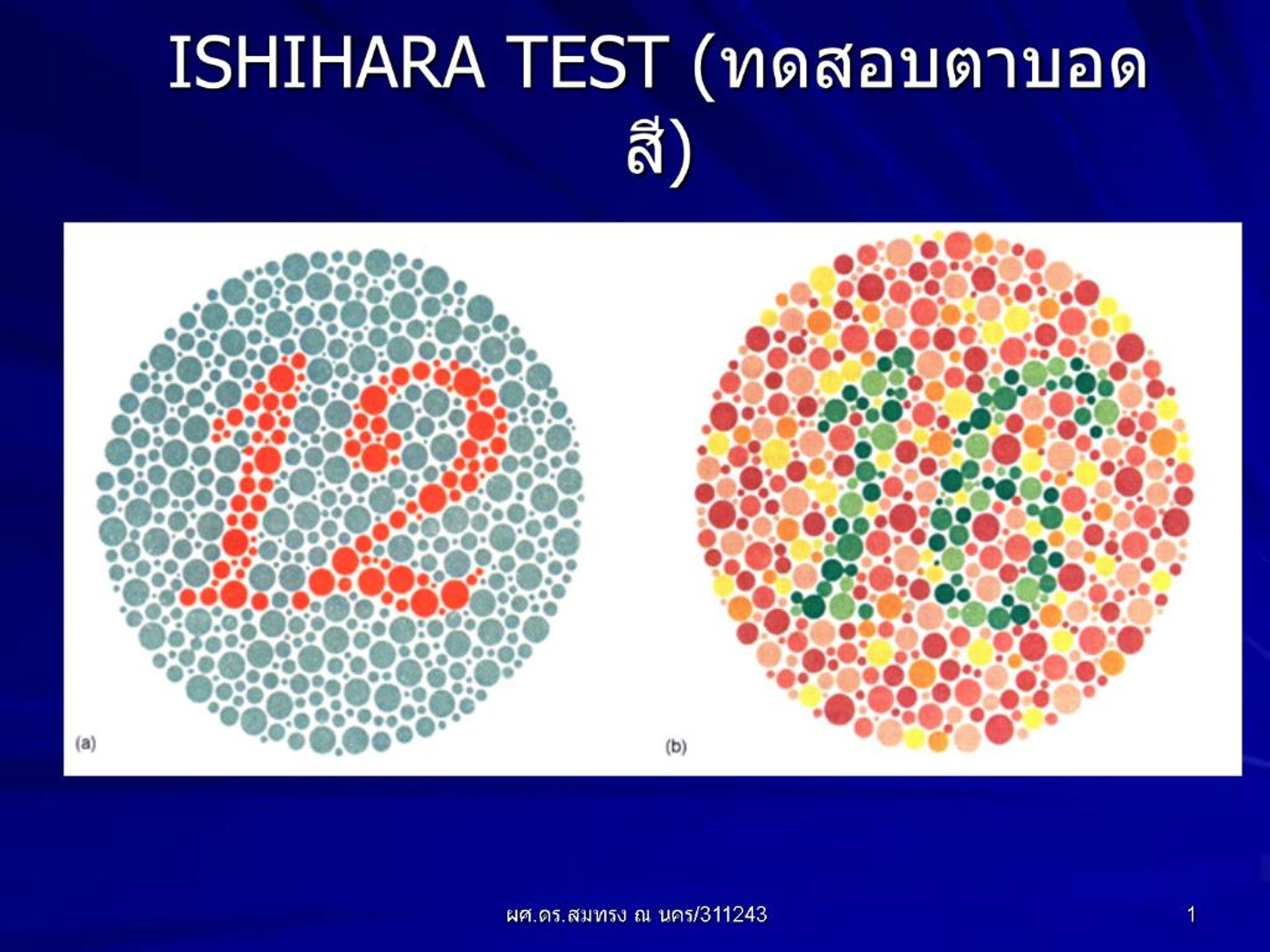 PPT - ISHIHARA TEST PowerPoint Presentation, free download - ID:690873