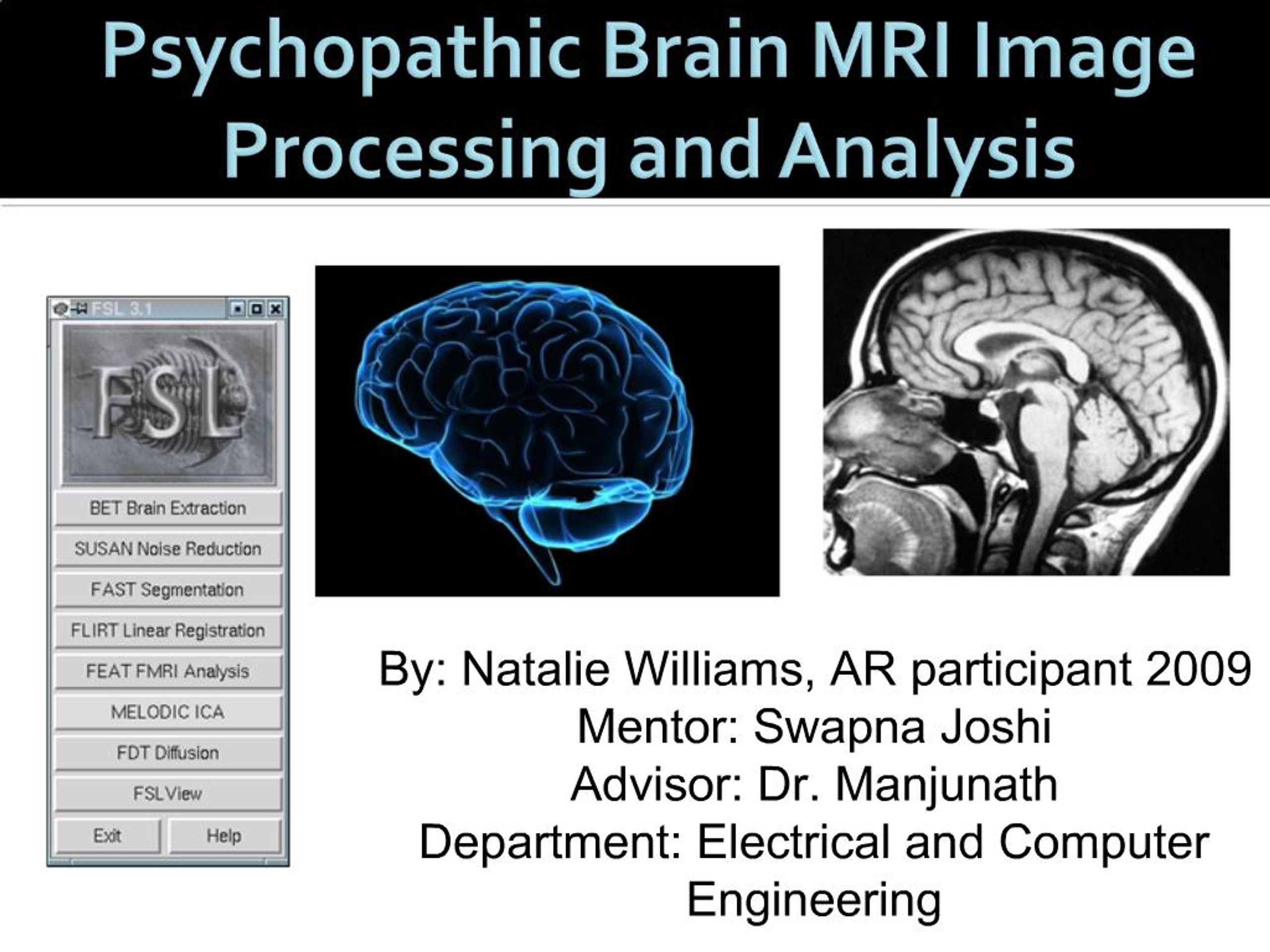 PPT - Psychopathic Brain MRI Image Processing and Analysis PowerPoint ...