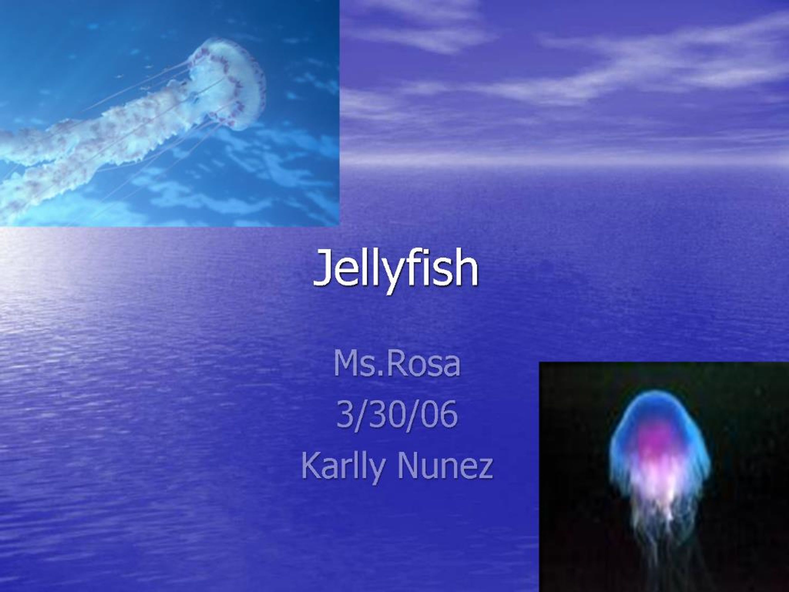 PPT - Jellyfish PowerPoint Presentation, free download - ID:694722