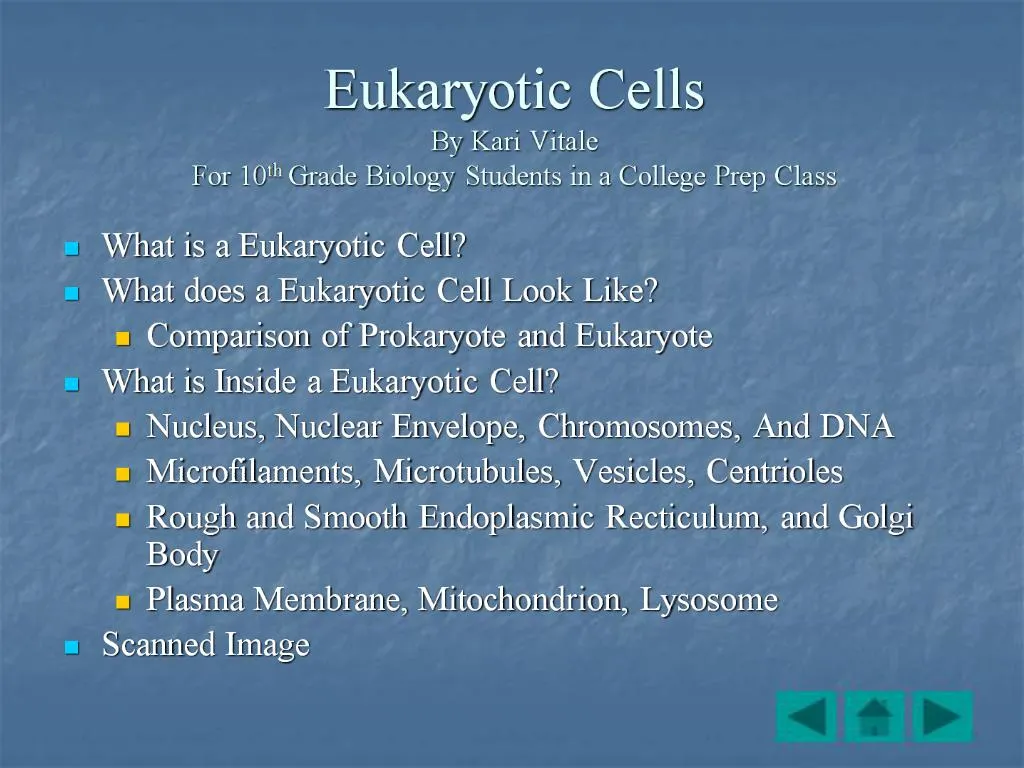 PPT - Eukaryotic Cells By Kari Vitale For 10th Grade Biology Students ...