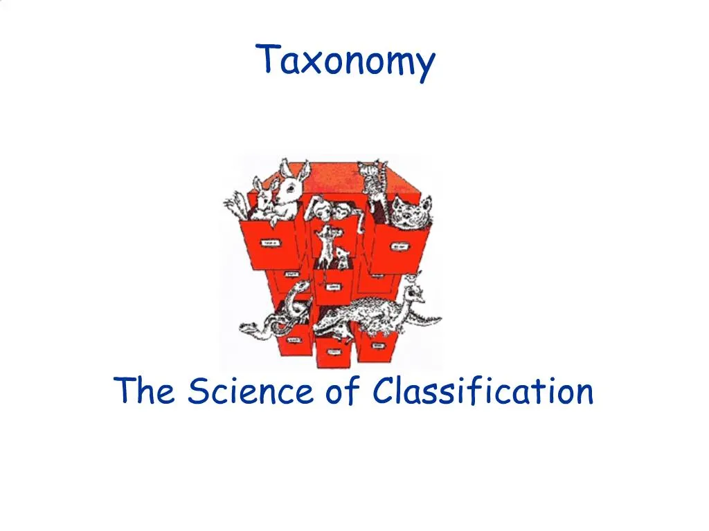 PPT - Taxonomy PowerPoint Presentation, free download - ID:704403
