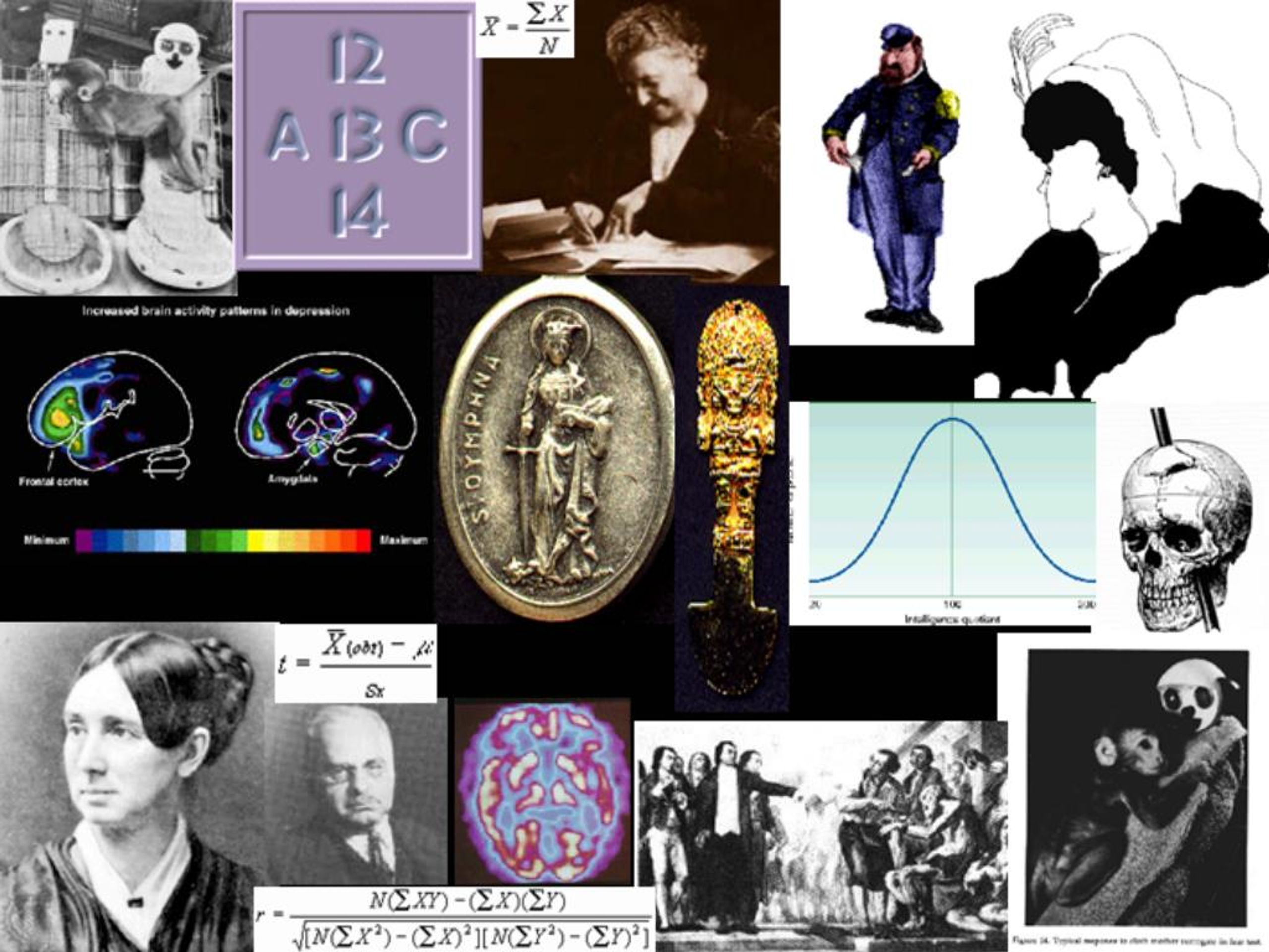 PPT - Attachment Theory: The work of Harry Harlow PowerPoint ...
