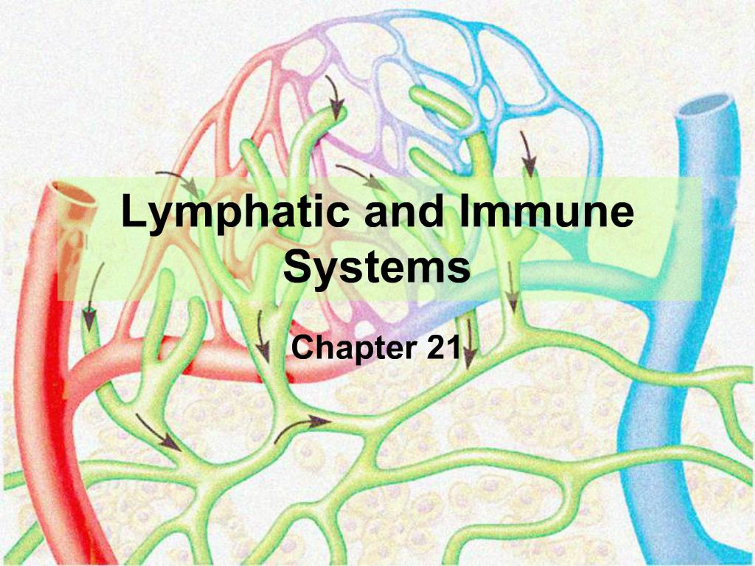 PPT - Lymphatic and Immune Systems PowerPoint Presentation, free ...