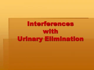 PPT - Urinary Elimination PowerPoint Presentation, free download - ID ...