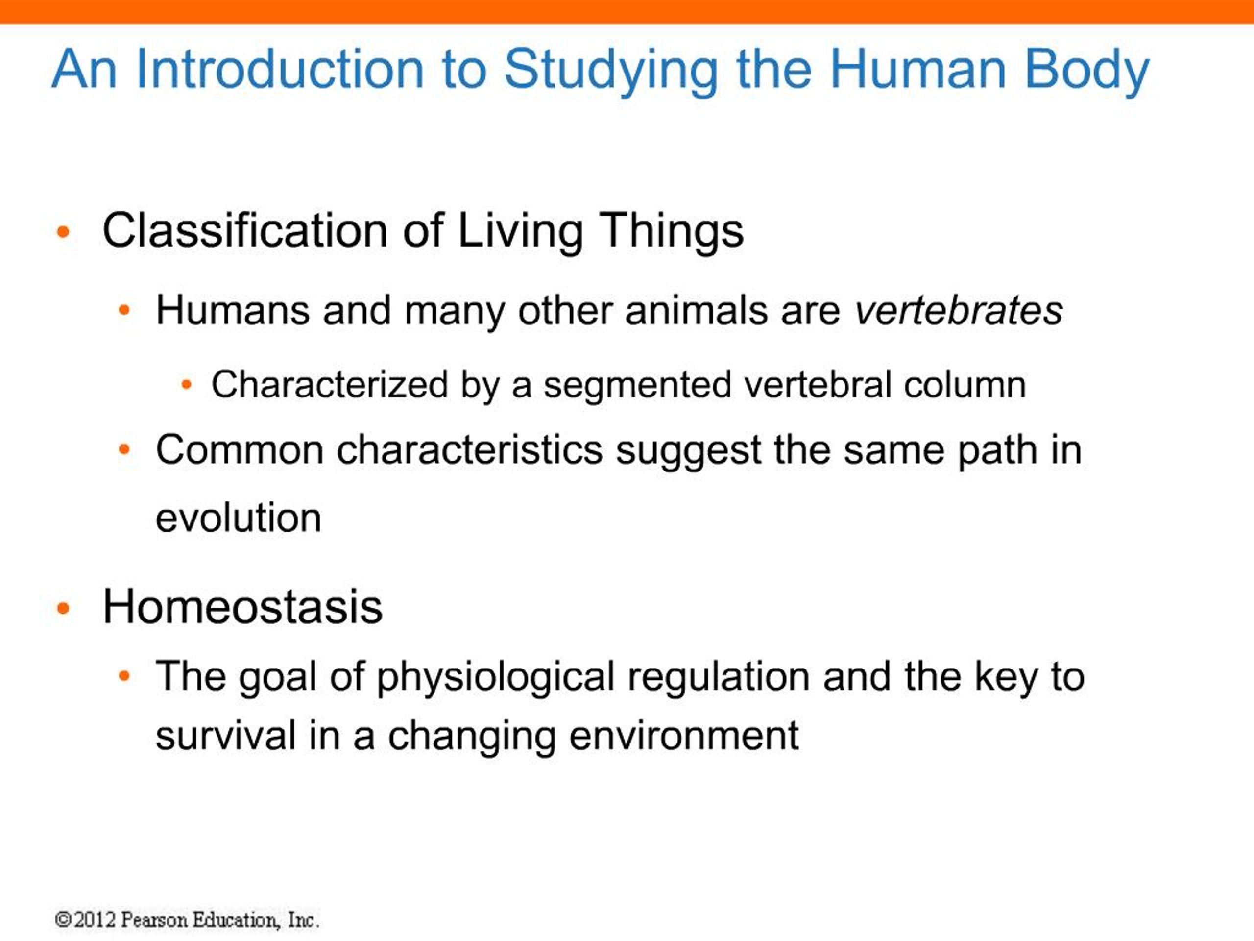 PPT - An Introduction to Studying the Human Body PowerPoint ...