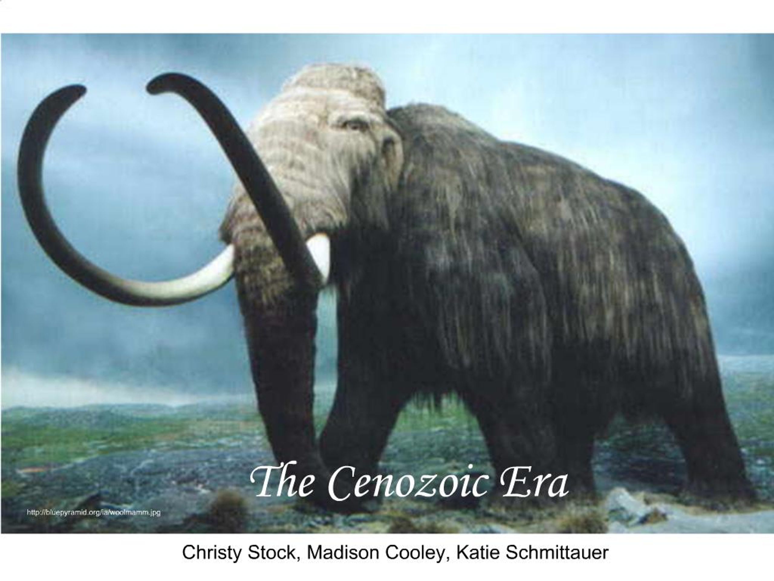 PPT - The Cenozoic Era PowerPoint Presentation, free download - ID:717572