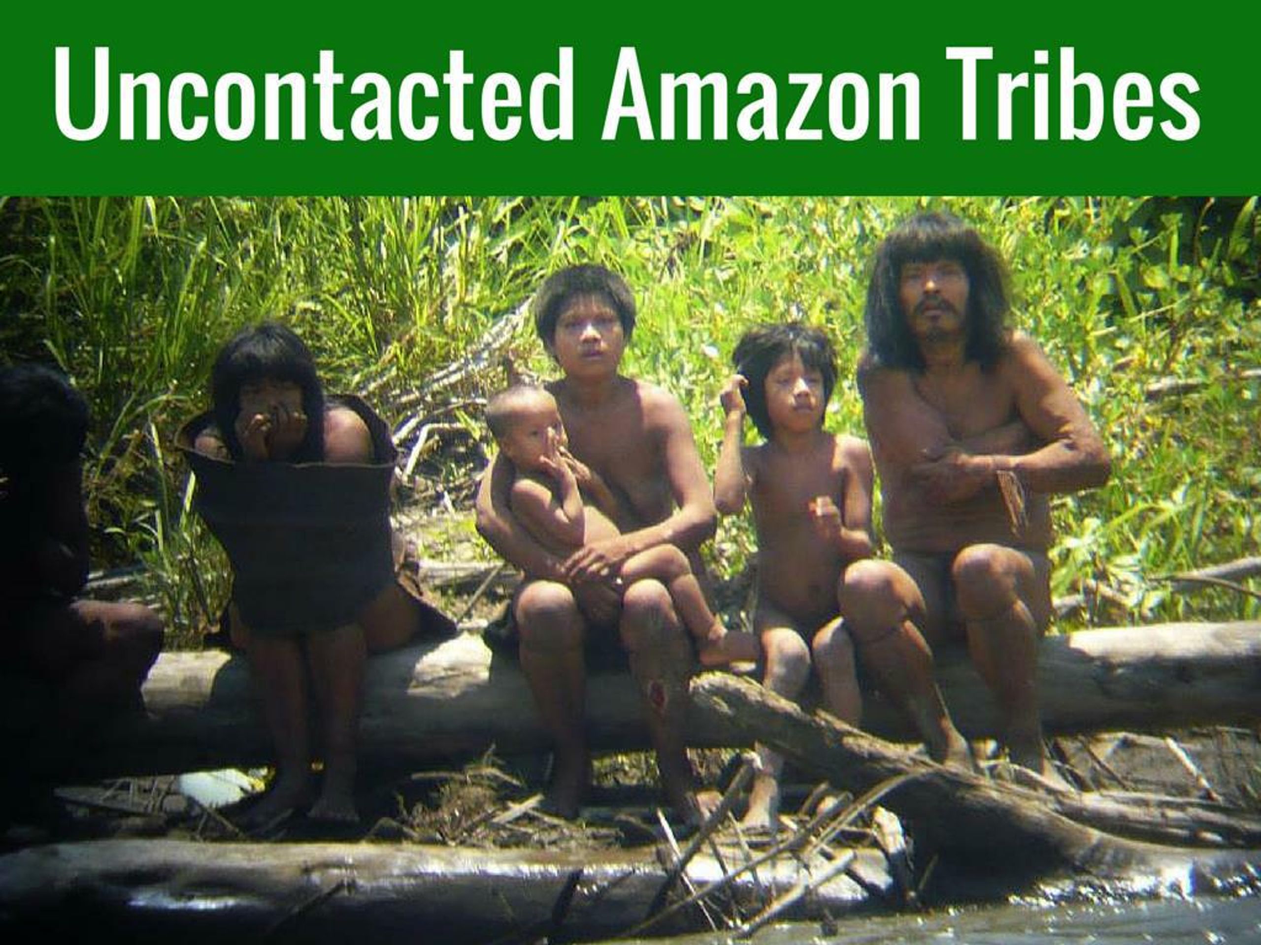 PPT - Uncontacted Amazon tribes PowerPoint Presentation, free download ...