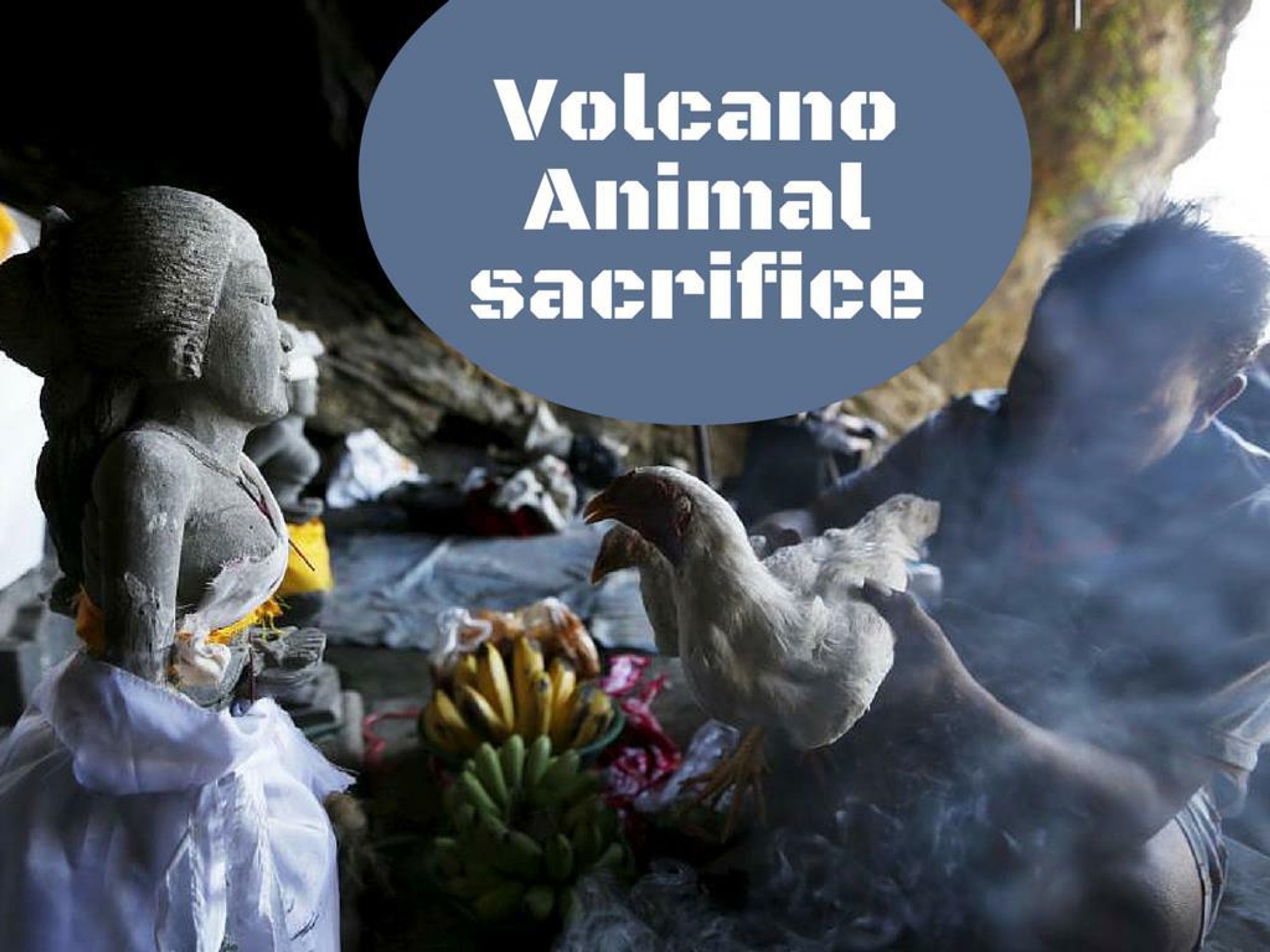 PPT - Volcano animal sacrifice PowerPoint Presentation, free download ...