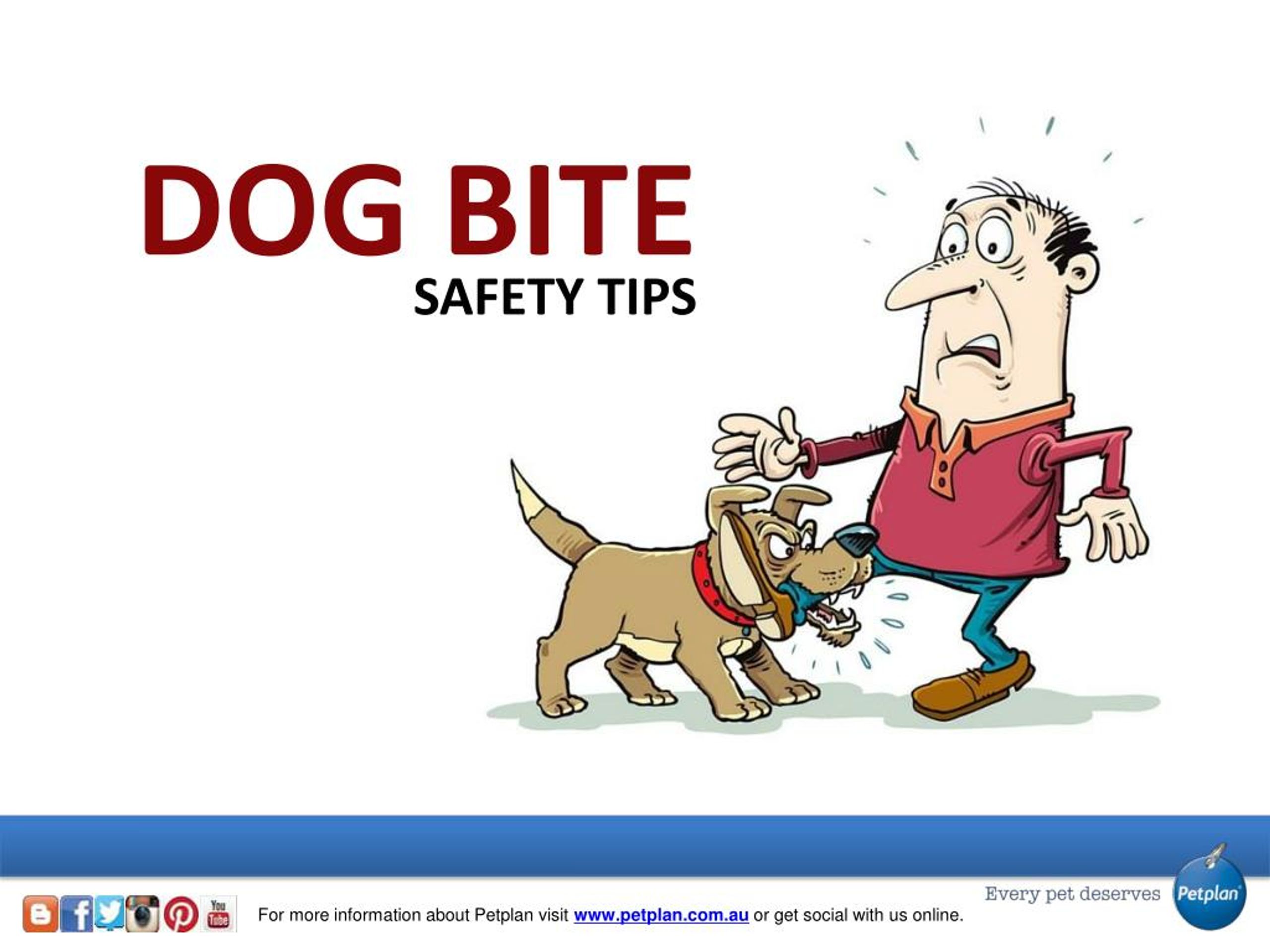 PPT - Dog Bite Safety Tips PowerPoint Presentation, free download - ID ...